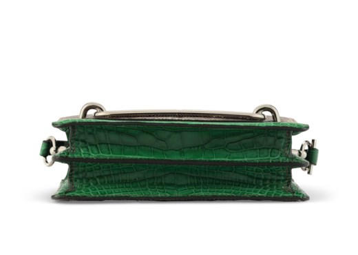 A LIMITED EDITION MATTE CACTUS ALLIGATOR & OMBRÉ LIZARD SAC ROULIS 18 ...