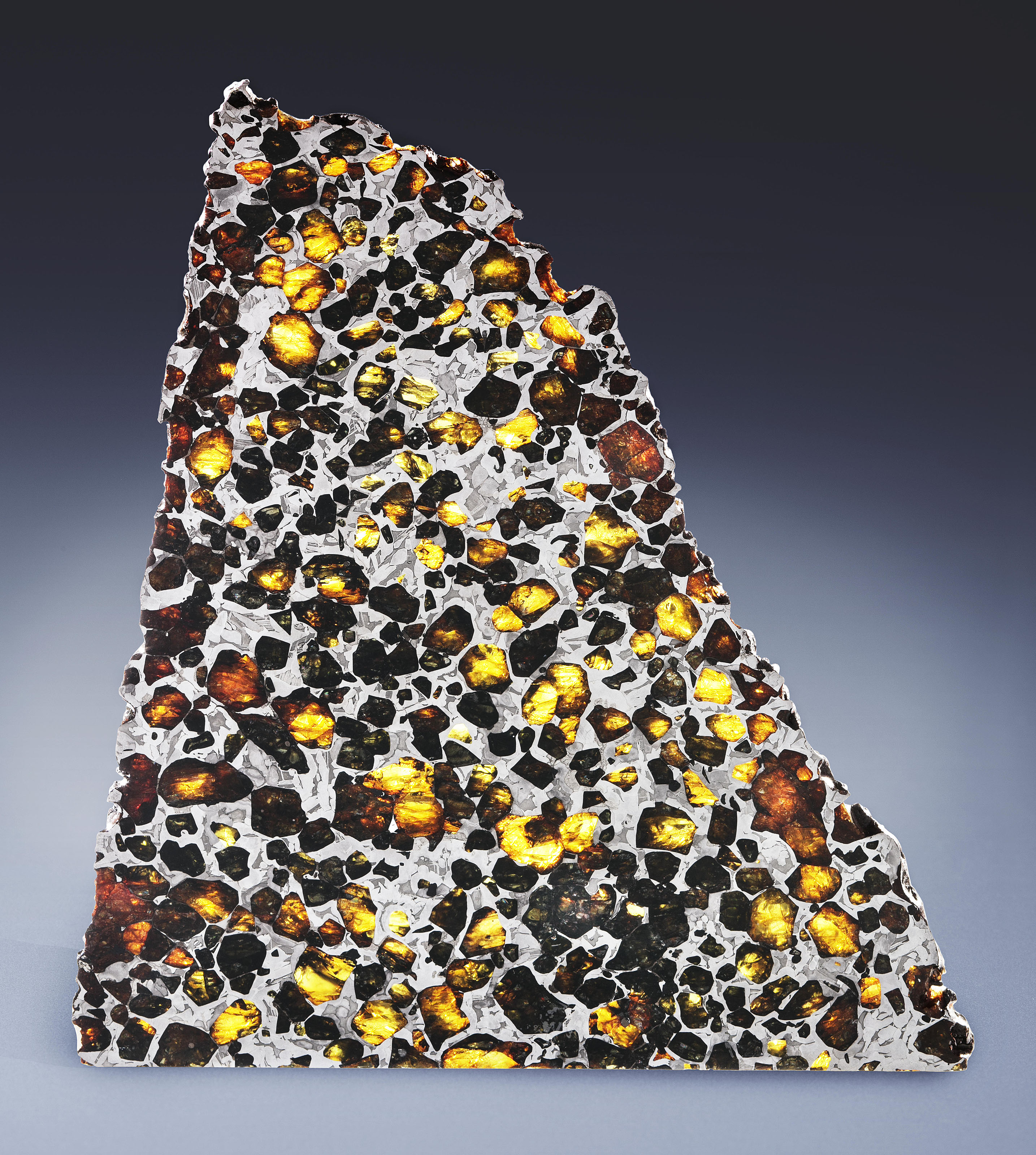 LARGE PARTIAL SLICE OF ESQUEL PALLASITE — EXTRATERRESTRIAL GEMS ...