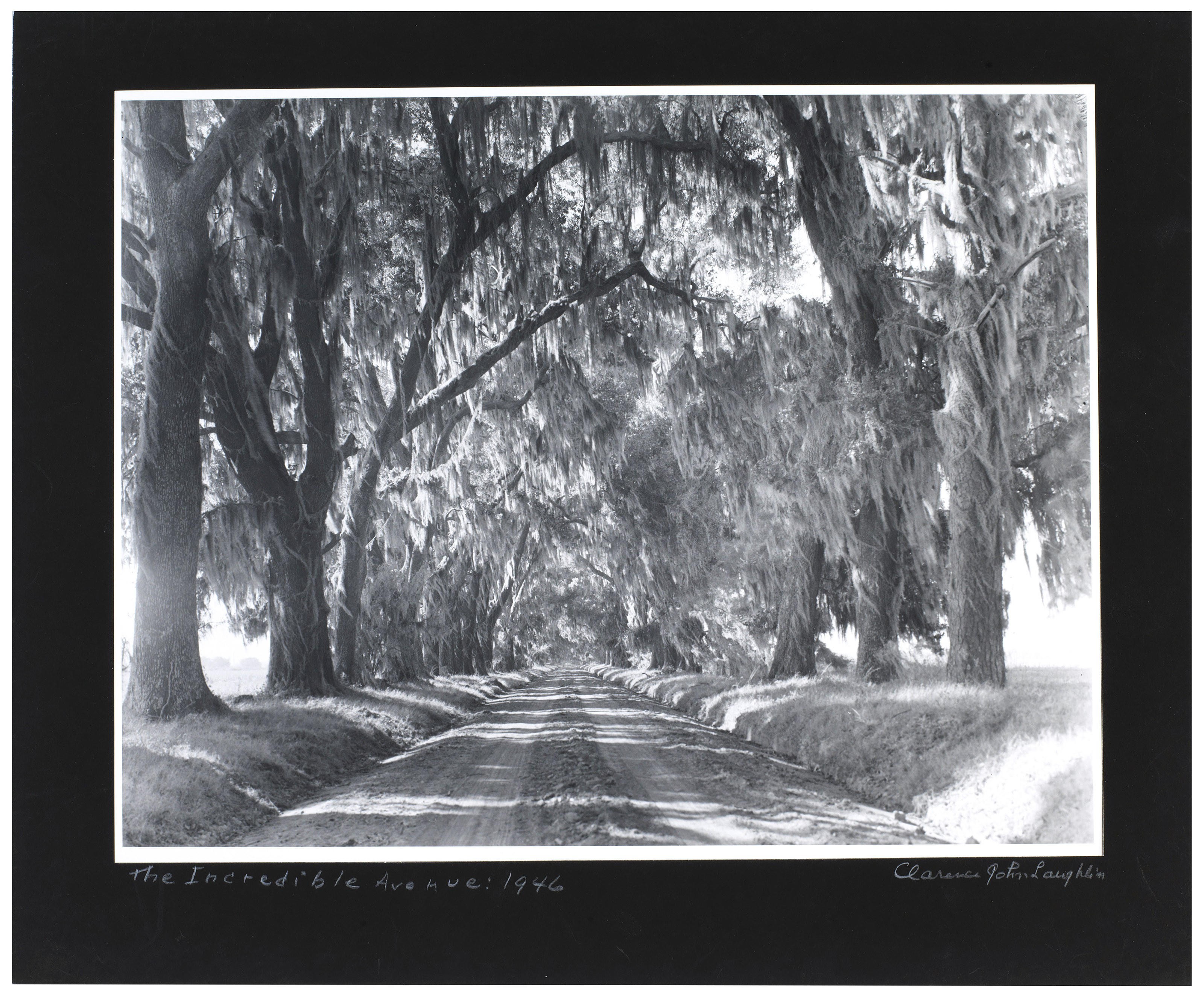 1984 John Laughlin Strange Light: The Photography Of Clarence John