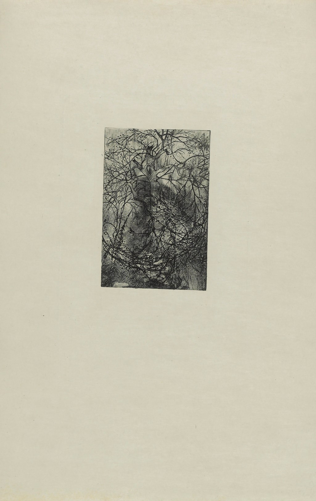 RODOLPHE BRESDIN (1822-1885), Branchages | Christie’s