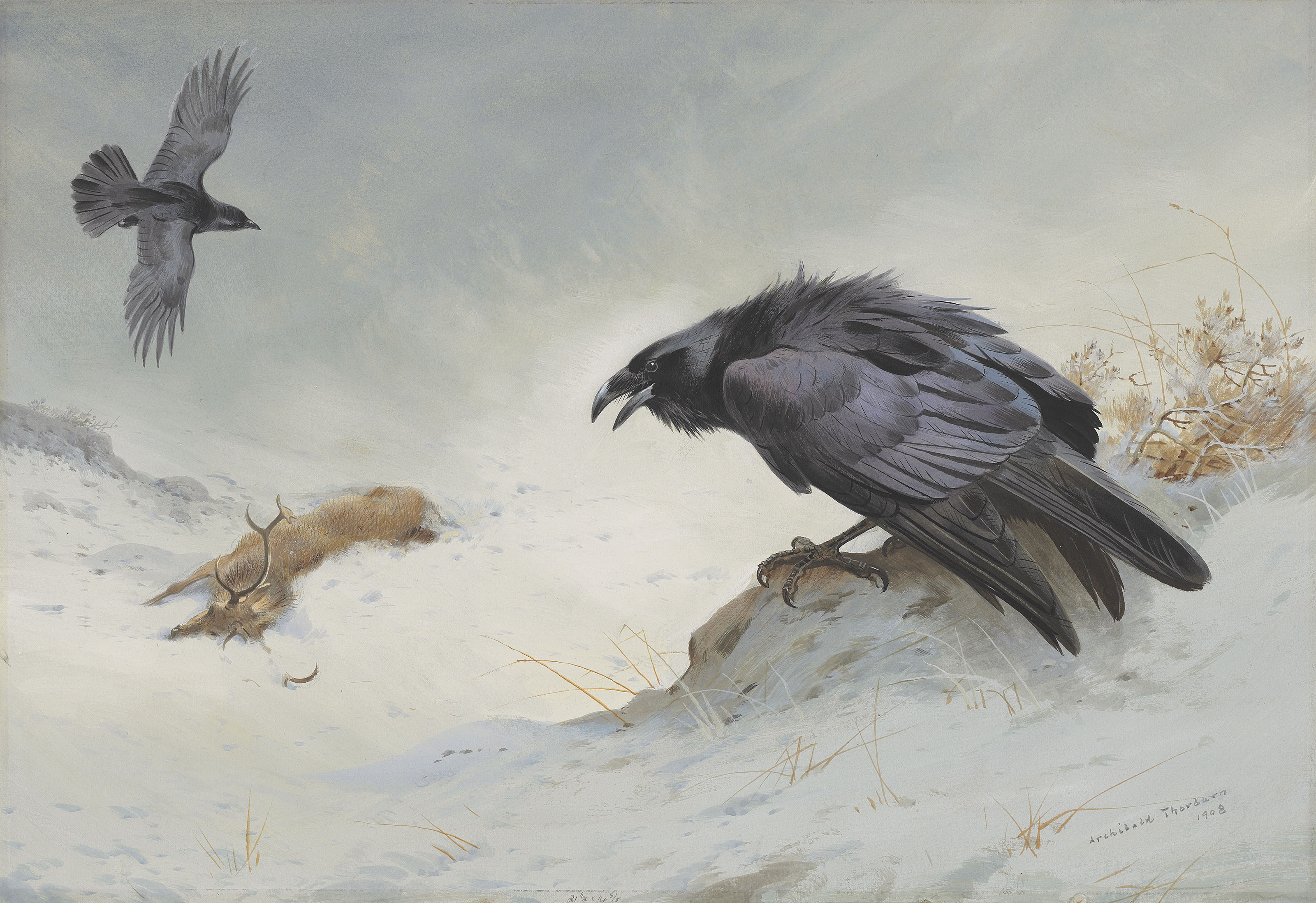 Archibald Thorburn (1860-1935)