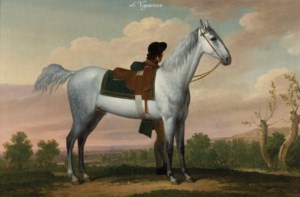 Attributed to Thomas Stringer (1722-1790), 'Le Petit Mailer', a bay stallion held by a groom ...