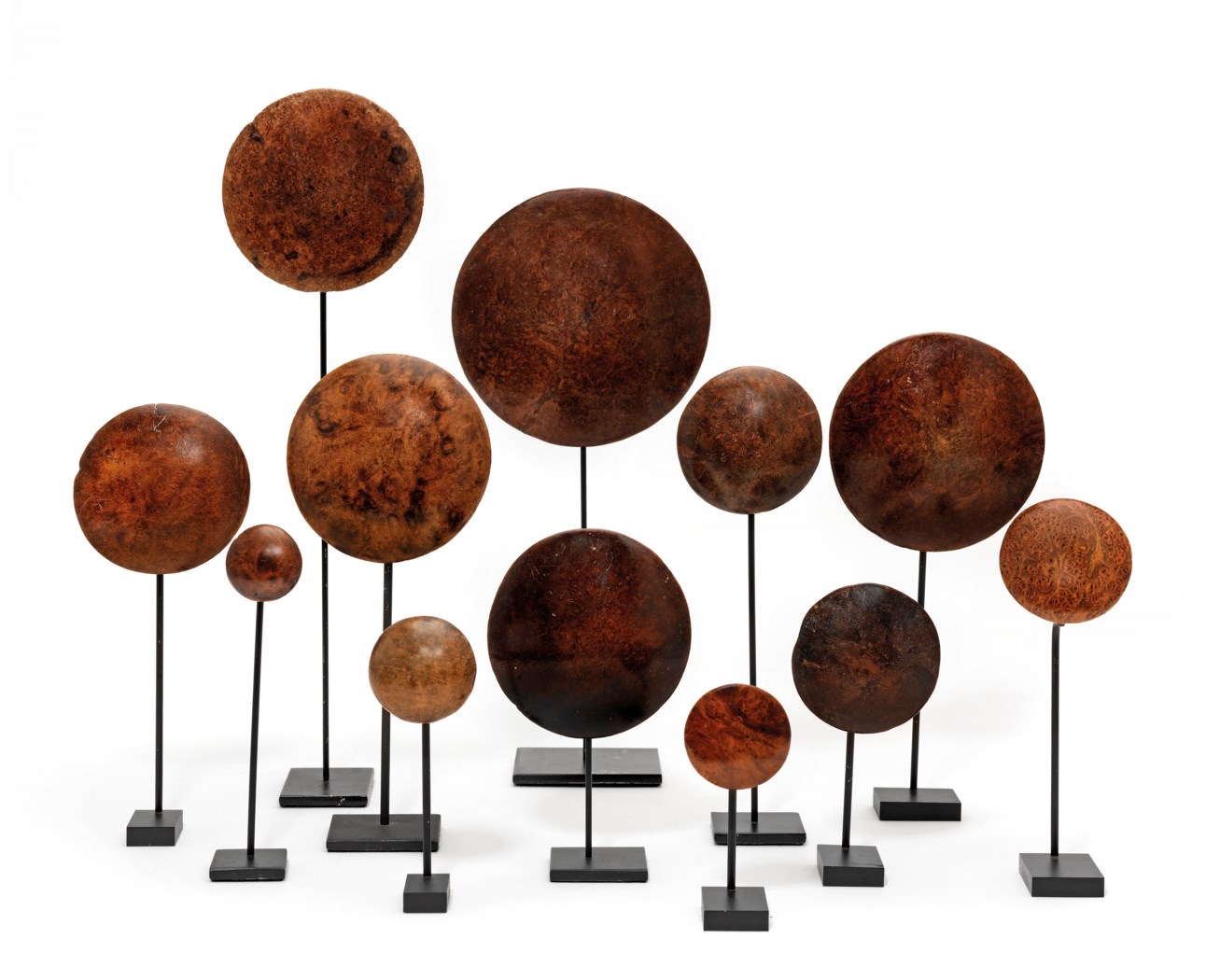 TWELVE CHINESE BURR WOOD TOGGLES, XINJIANG PROVINCE, 19TH CENTURY ...