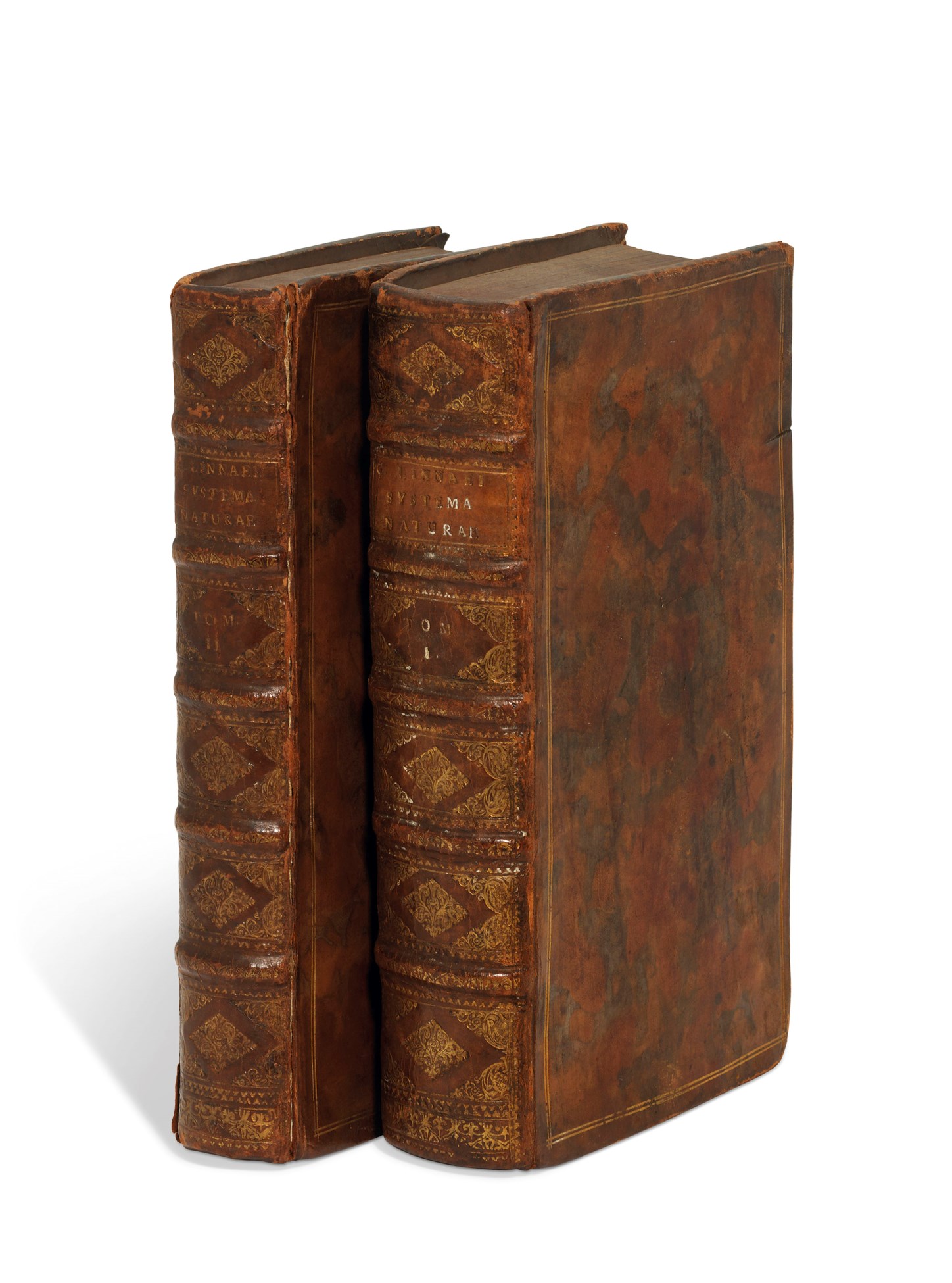 LINNAEUS, Carl (1707-1778). Systema Naturae per Regna Tria Naturae ...