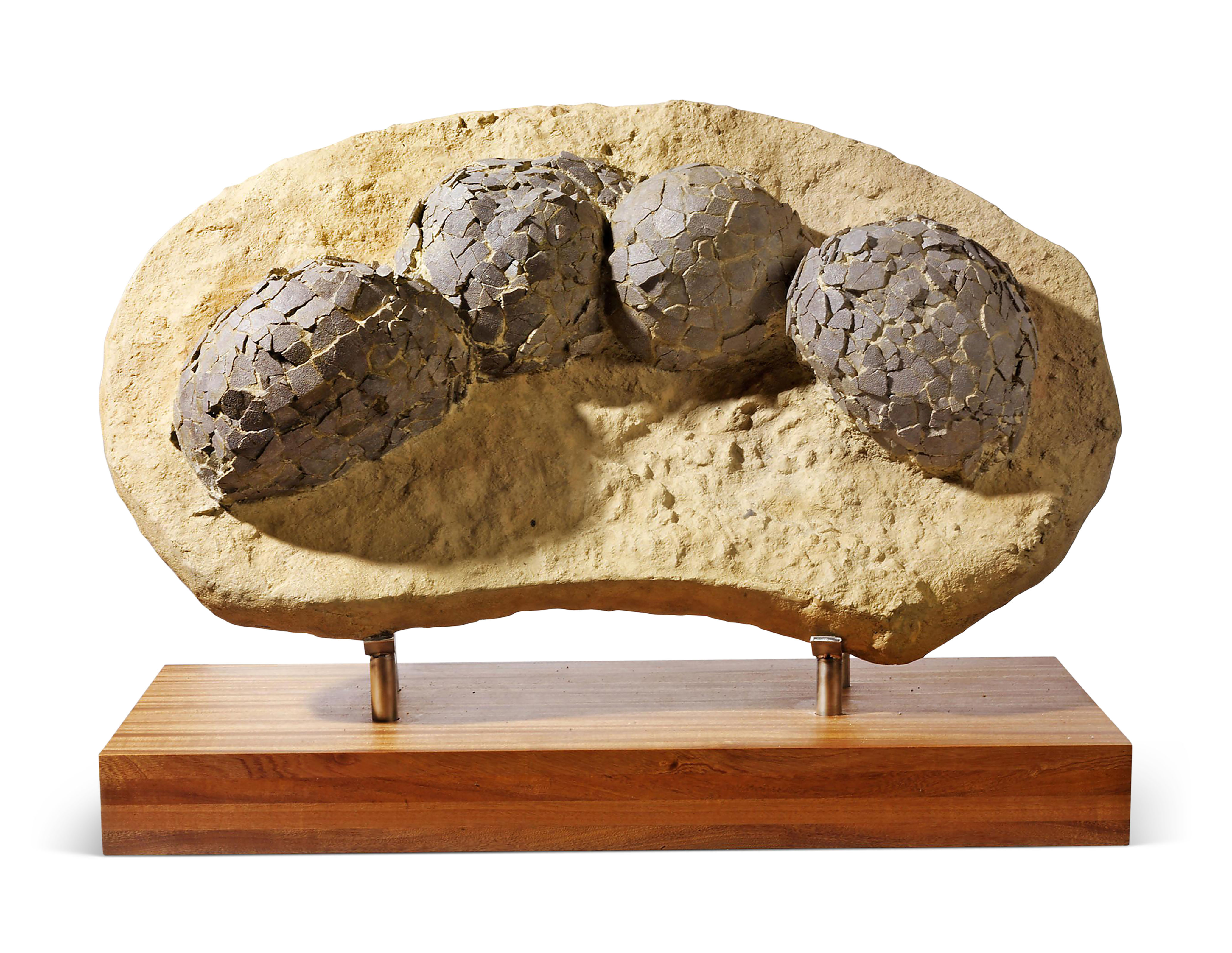 THE EGGS OF A SAUROPOD DINOSAUR, FRANCE | Christie’s