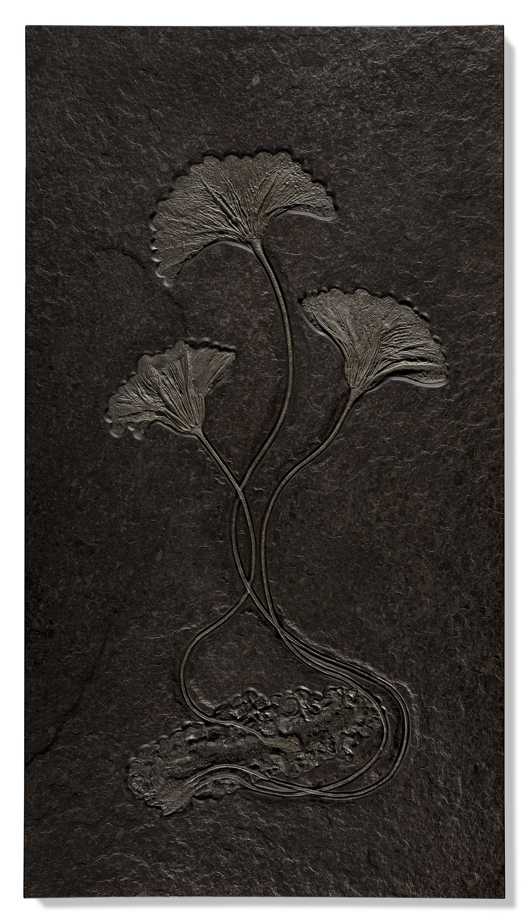 A TRIPLE FOSSIL SEALILY PLAQUE, GERMANY | Christie’s
