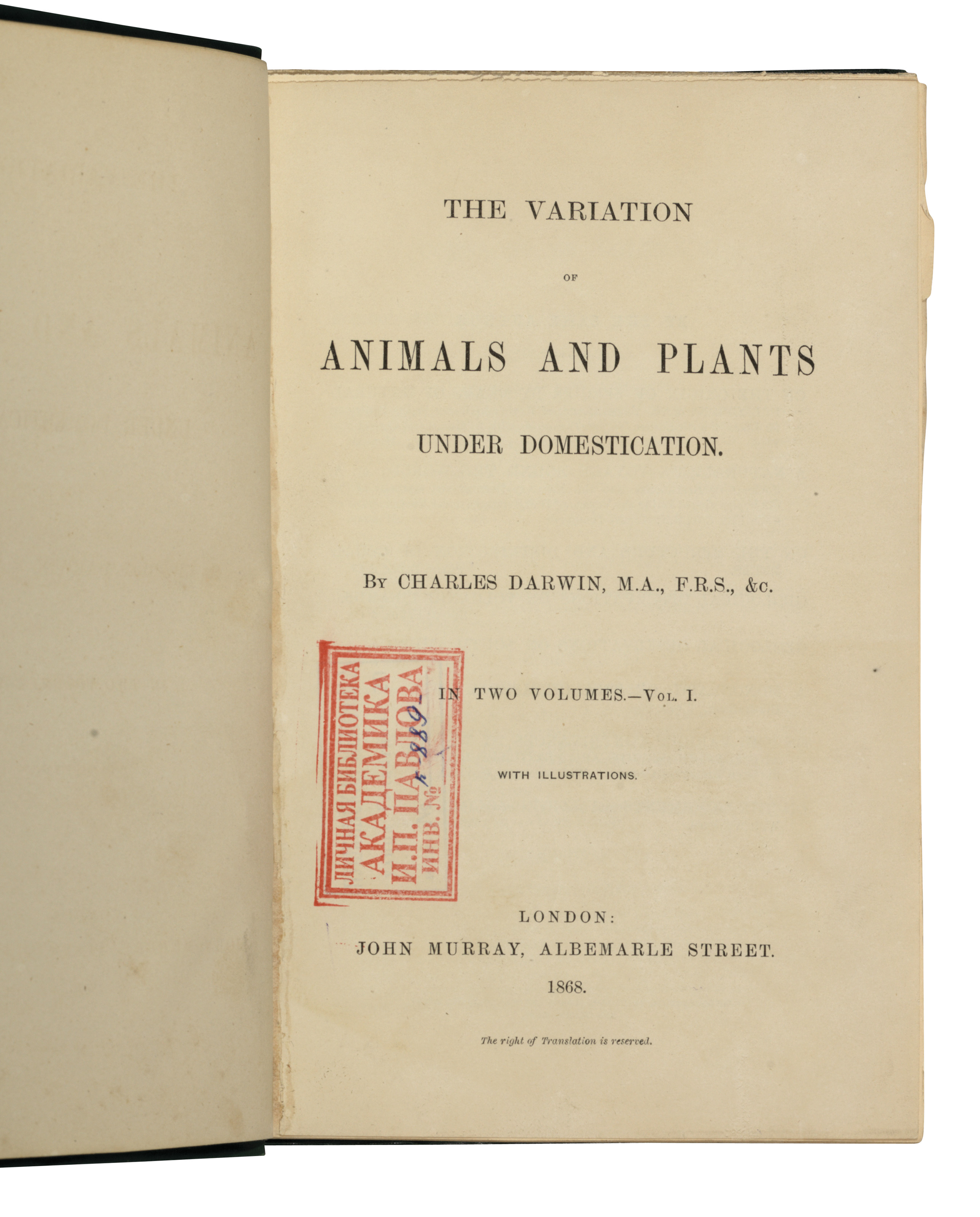 variation in animals and plants under domestication