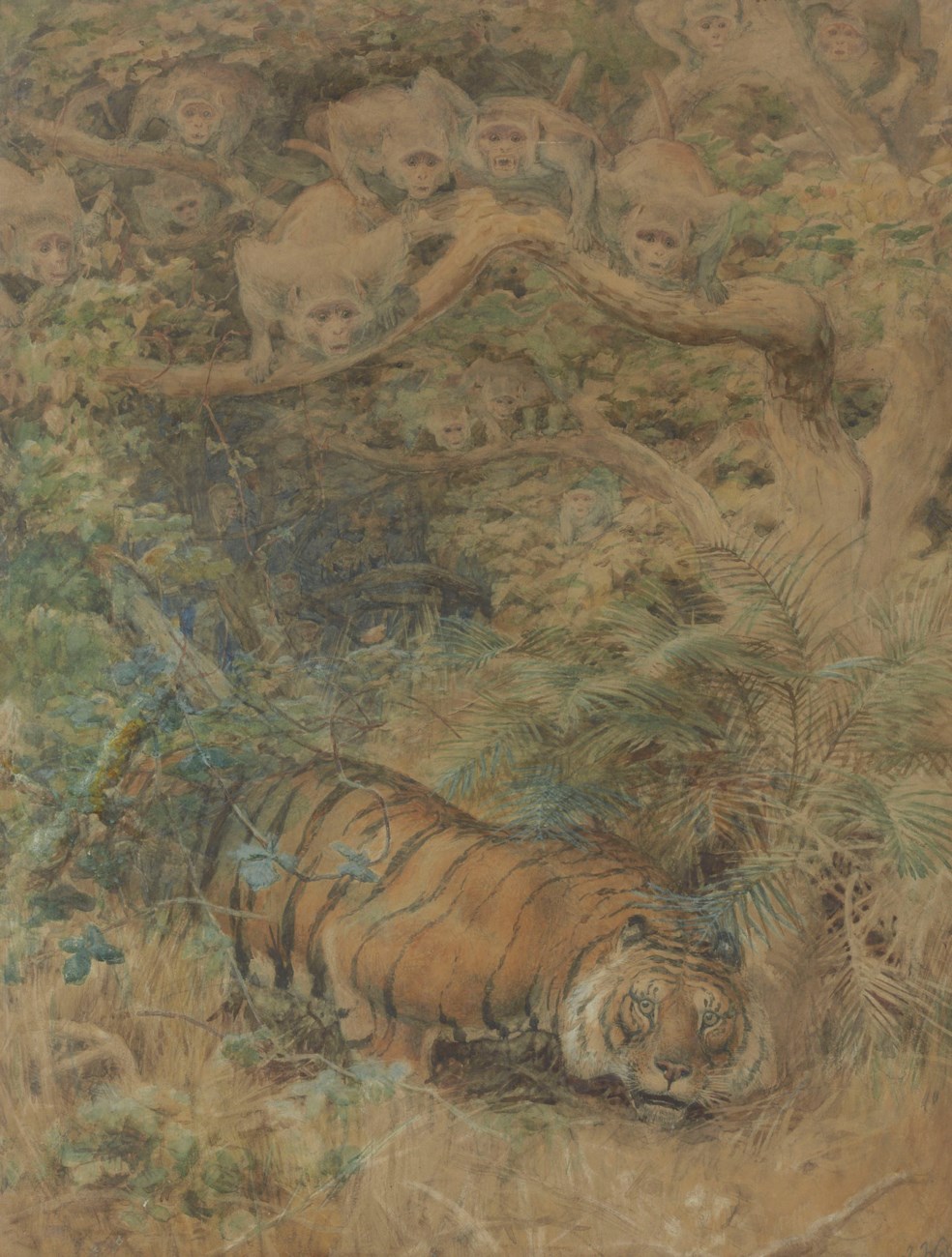 Joseph Wolf (1820-1899), Study for 'A row in the jungle': A tiger on ...