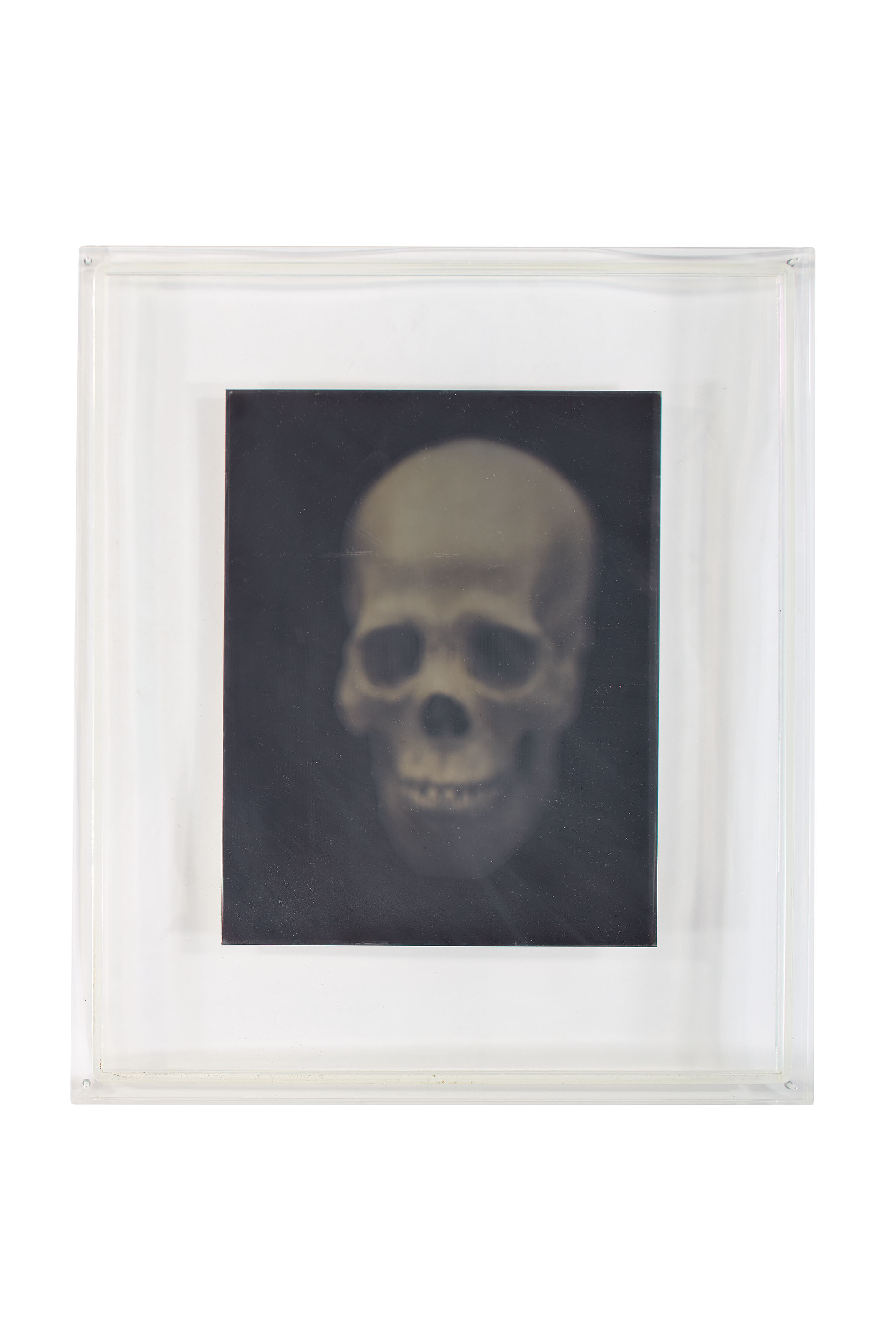 Adam Fuss (b. 1961), Untitled | Christie’s