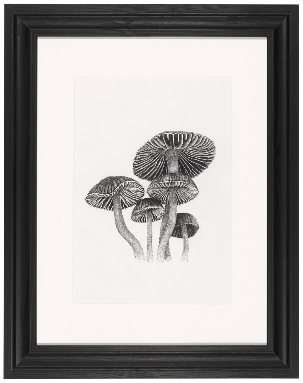 Isobel Macdonald-Jackson, Agaricus | Christie’s
