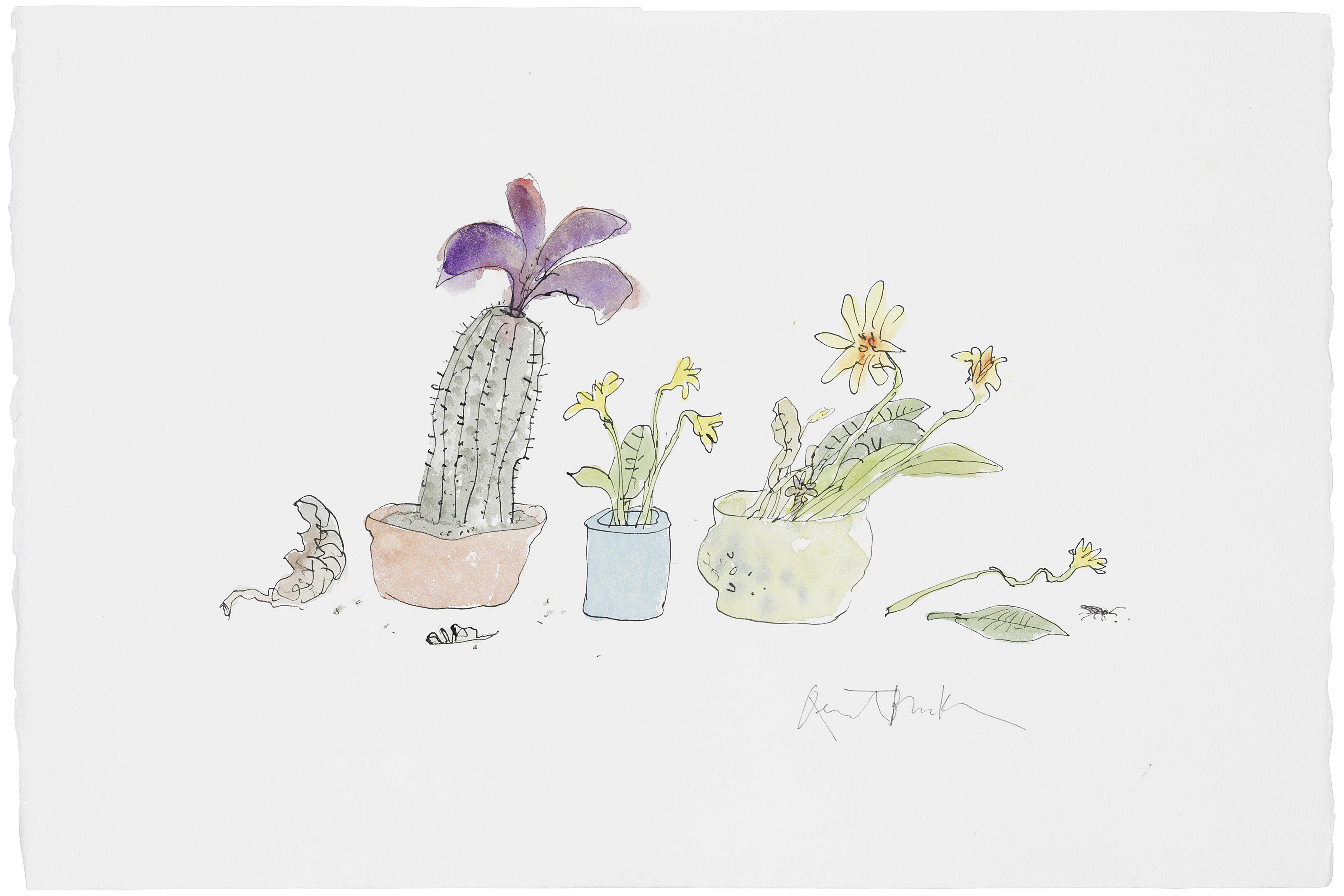 Quentin Blake (b.1932), Cactus and flowers | Christie’s