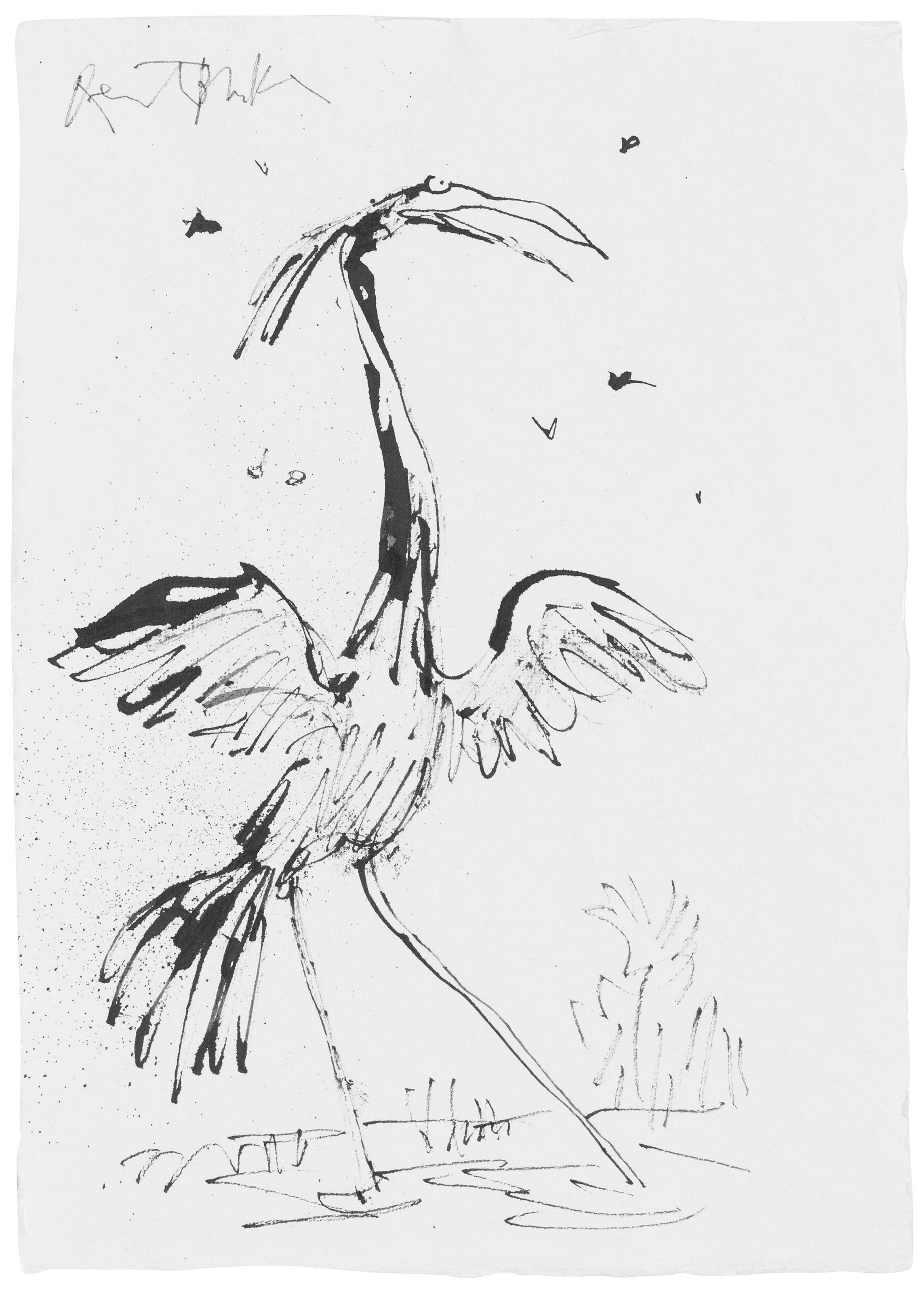 Quentin Blake (b.1932), Birds drawn with quills #6 | Christie’s