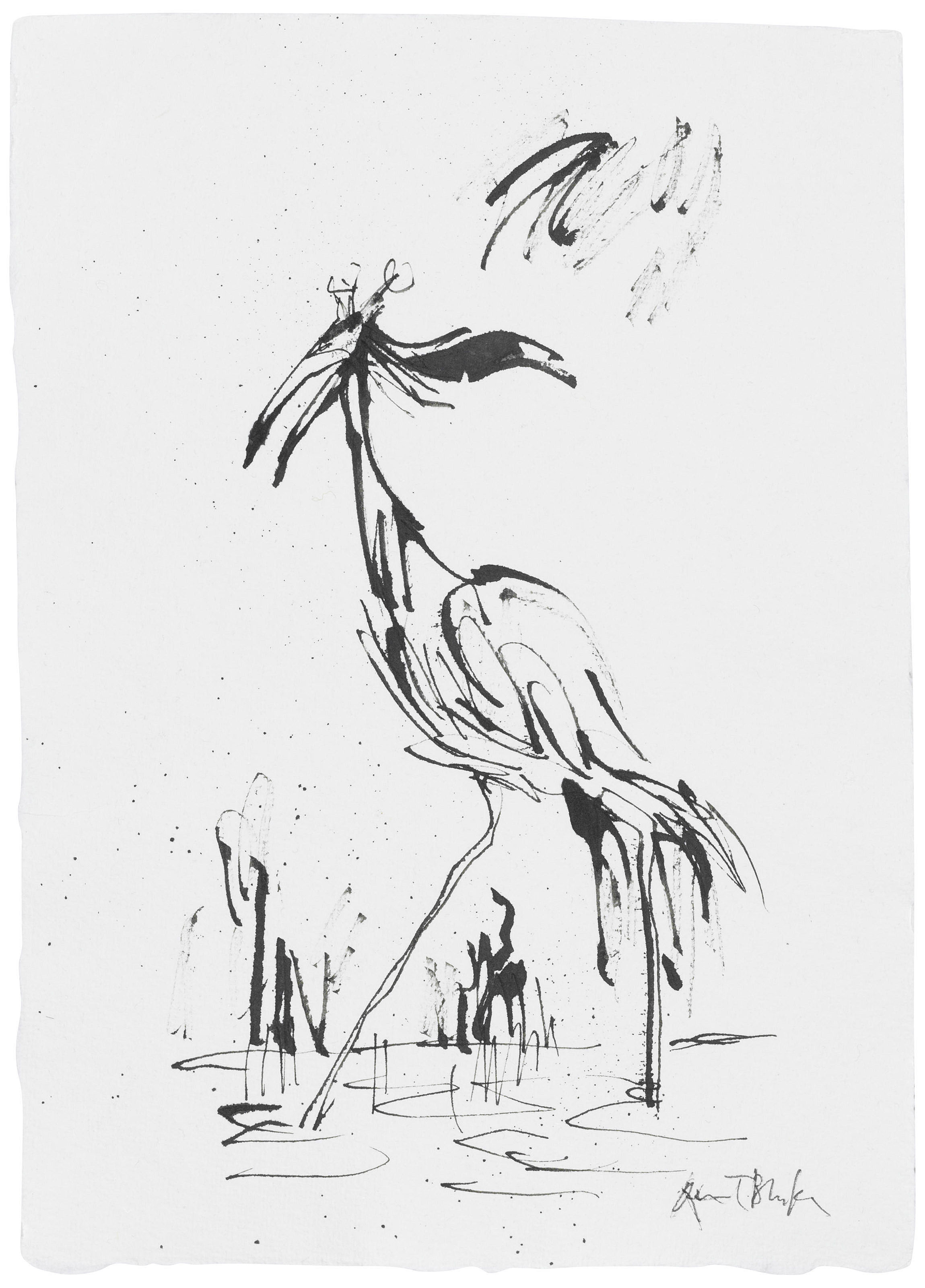 Quentin Blake (b.1932), Birds drawn with quills #8 | Christie’s
