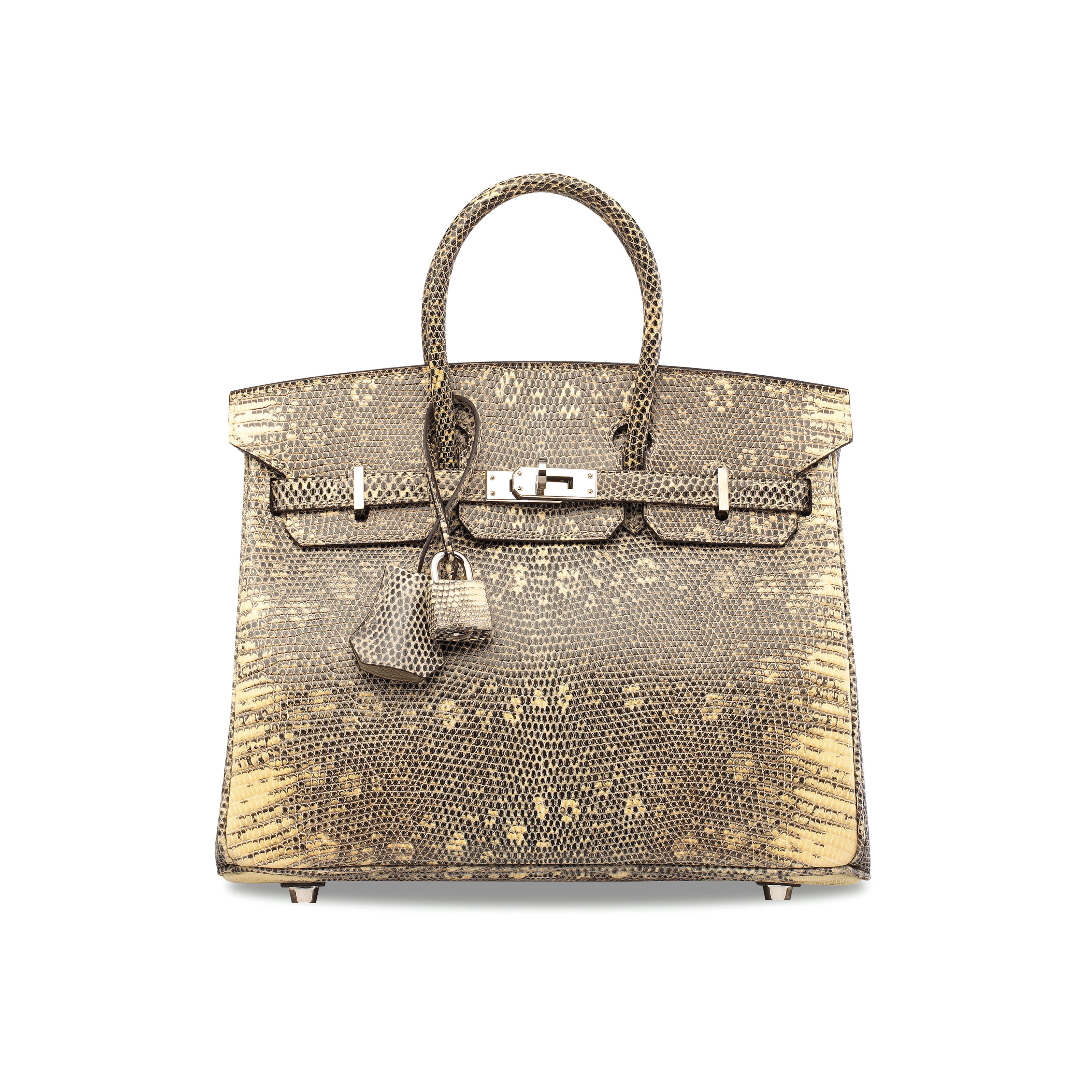 A RARE, SHINY OMBRÉ SALVATOR LIZARD BIRKIN 25 WITH PALLADIUM HARDWARE