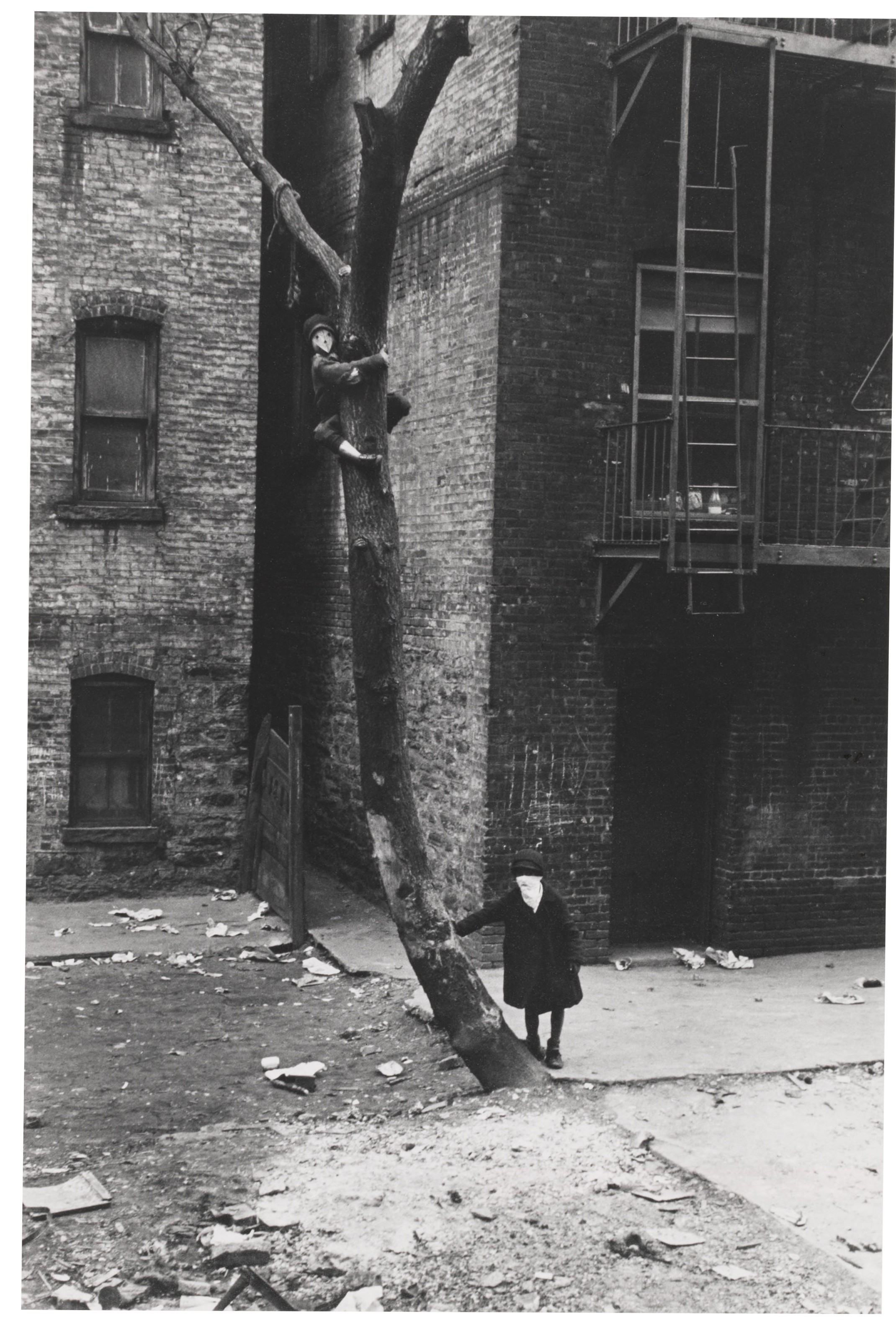 HELEN LEVITT (1913–2009), New York (Two boys, one up a tree), 1938 ...