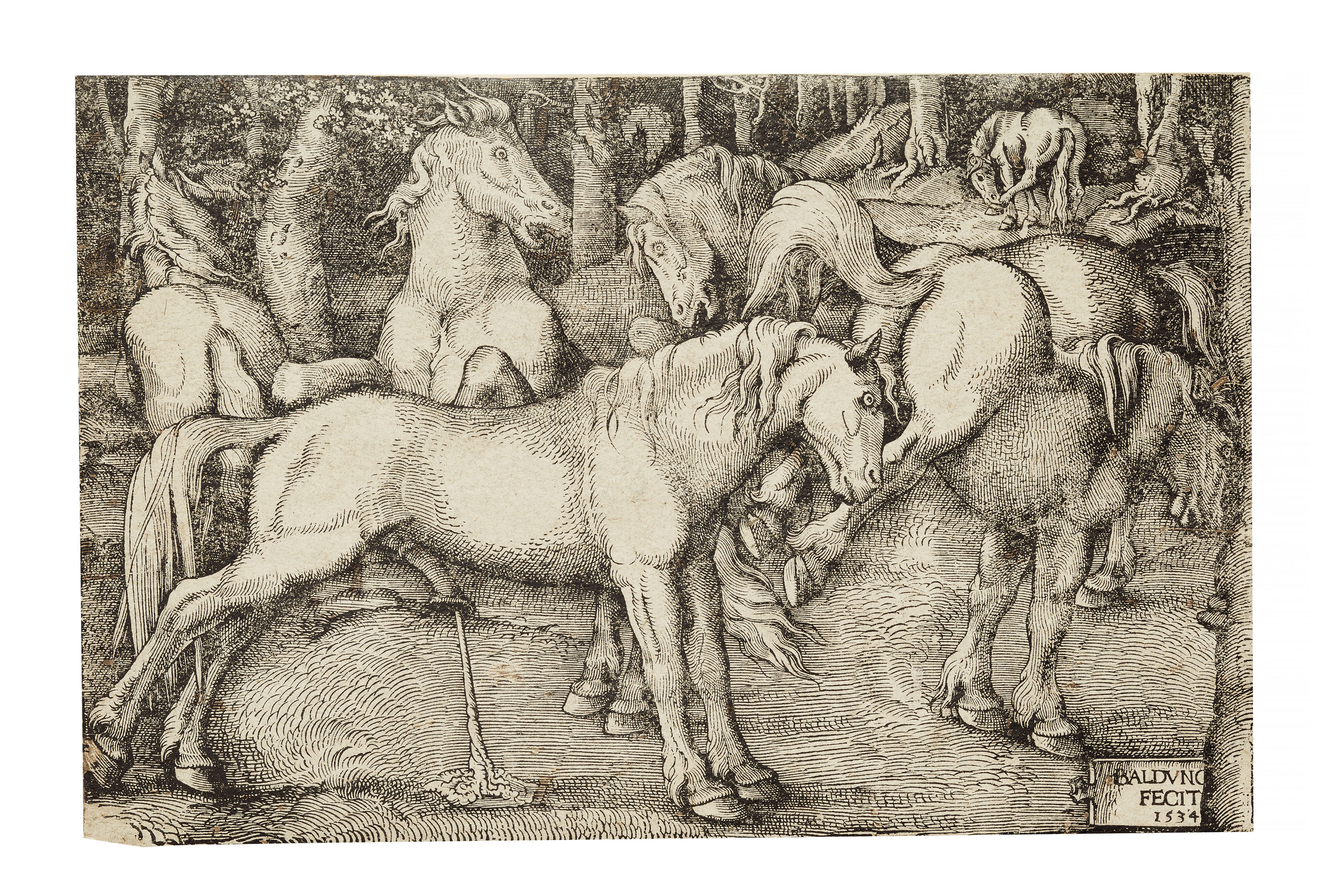 horses mating drawing