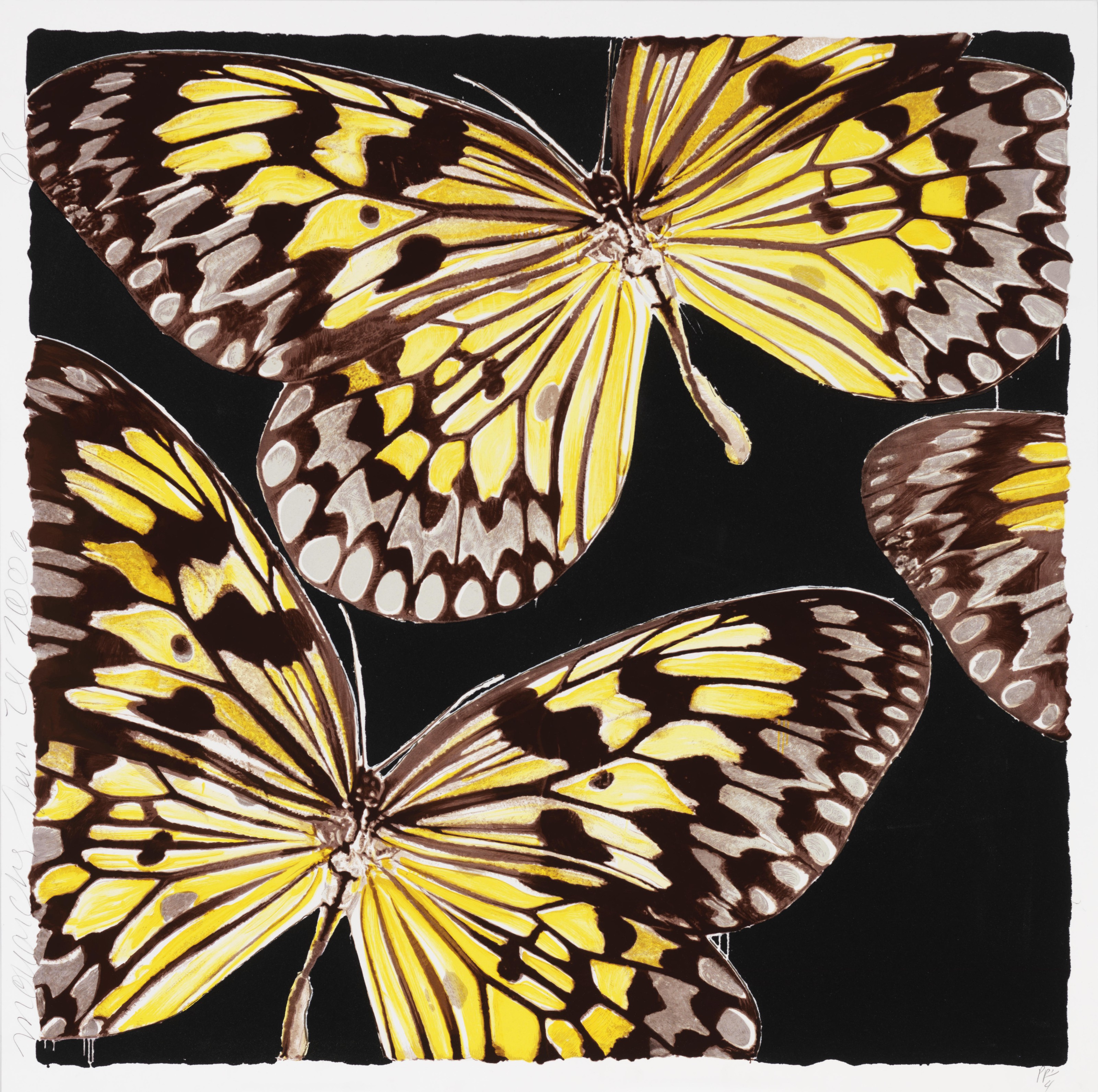 DONALD SULTAN (B. 1951), Monarchs, Jan 24, 2006 | Christie’s