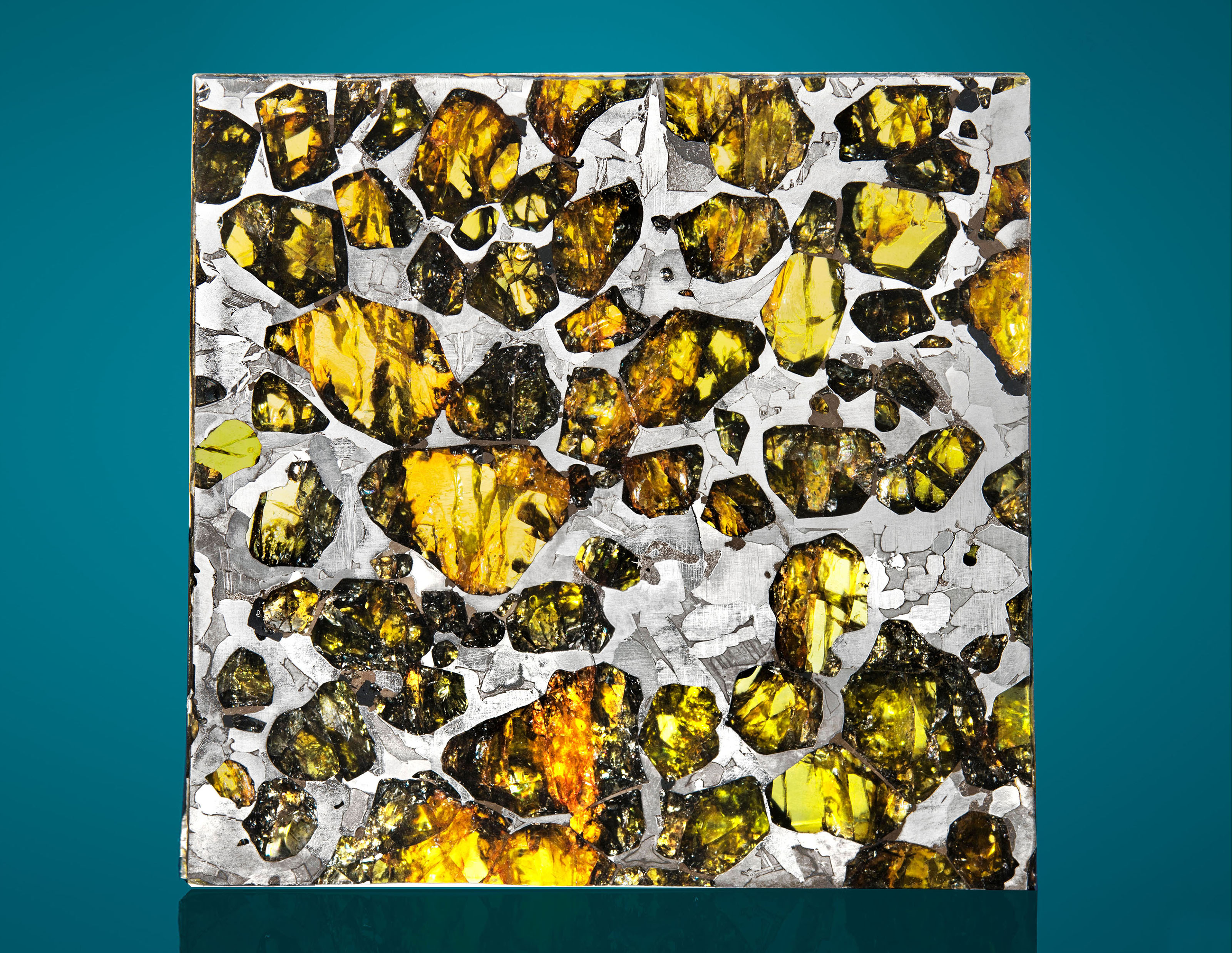 ESQUEL — SQUARE PARTIAL SLICE OF ONE OF THE MOST BEAUTIFUL METEORITES ...