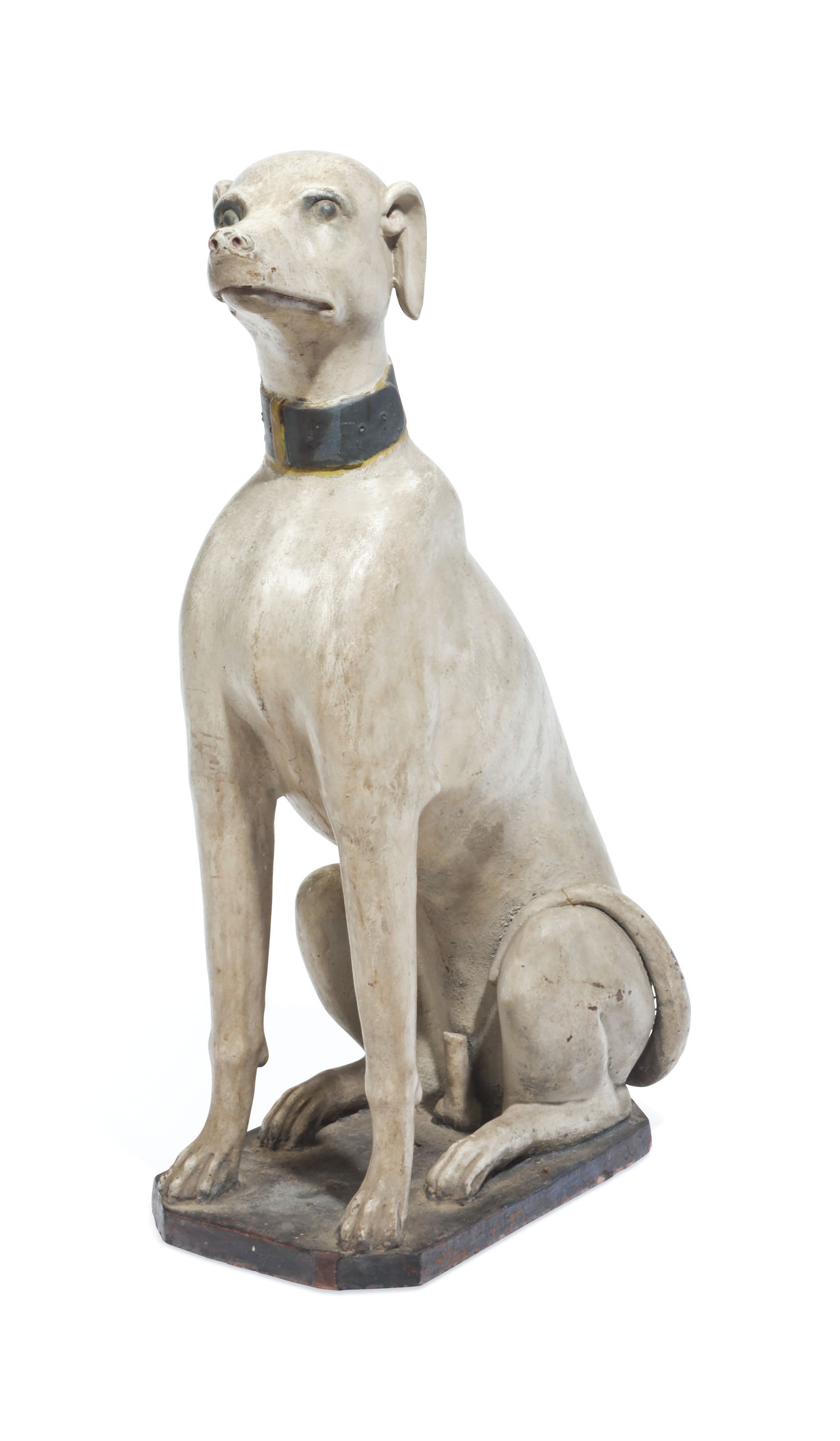 Cream Italian Greyhound