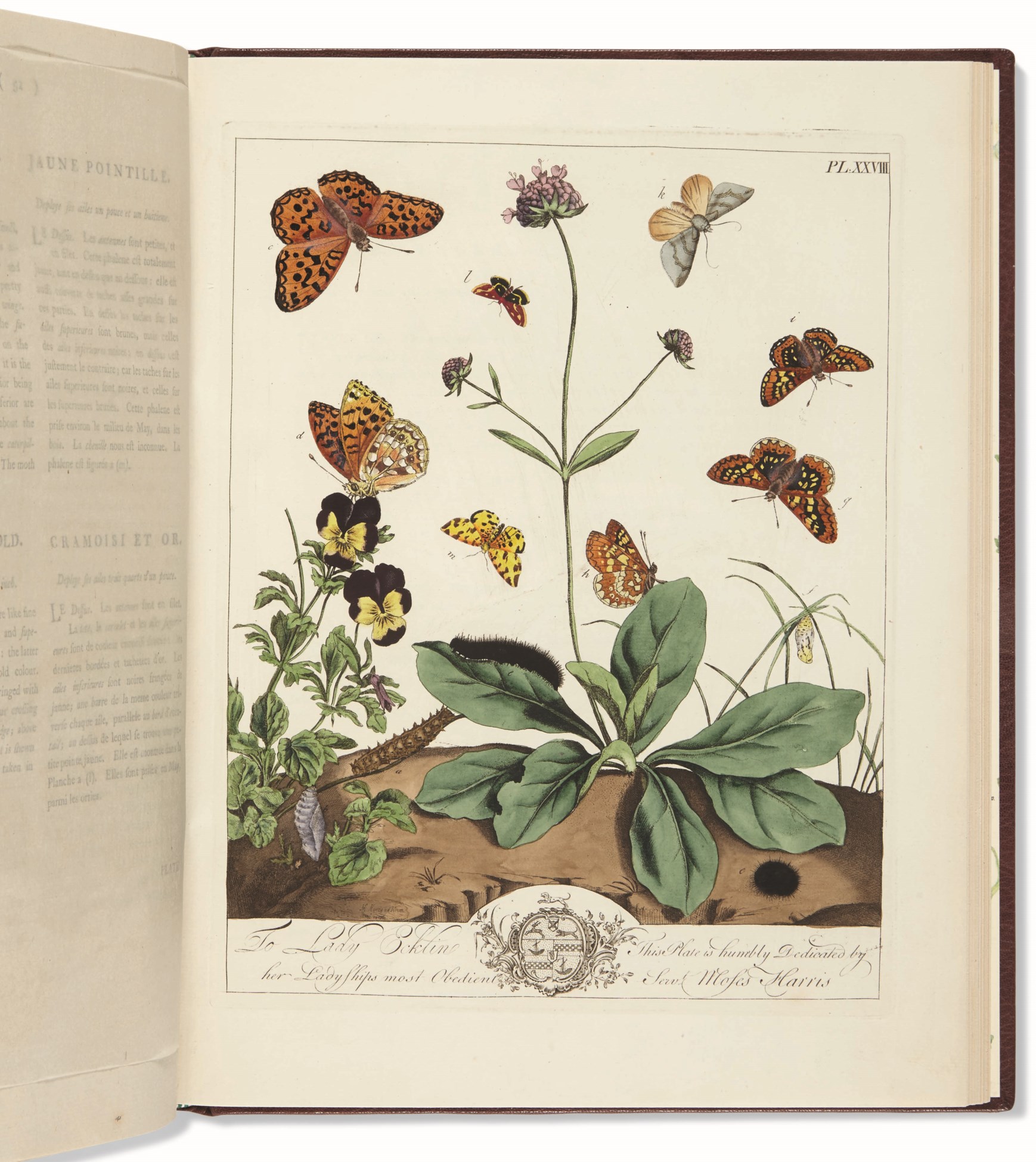 HARRIS, Moses (1730-c.1788). L’Aurelien, ou, Histoire naturelle des ...