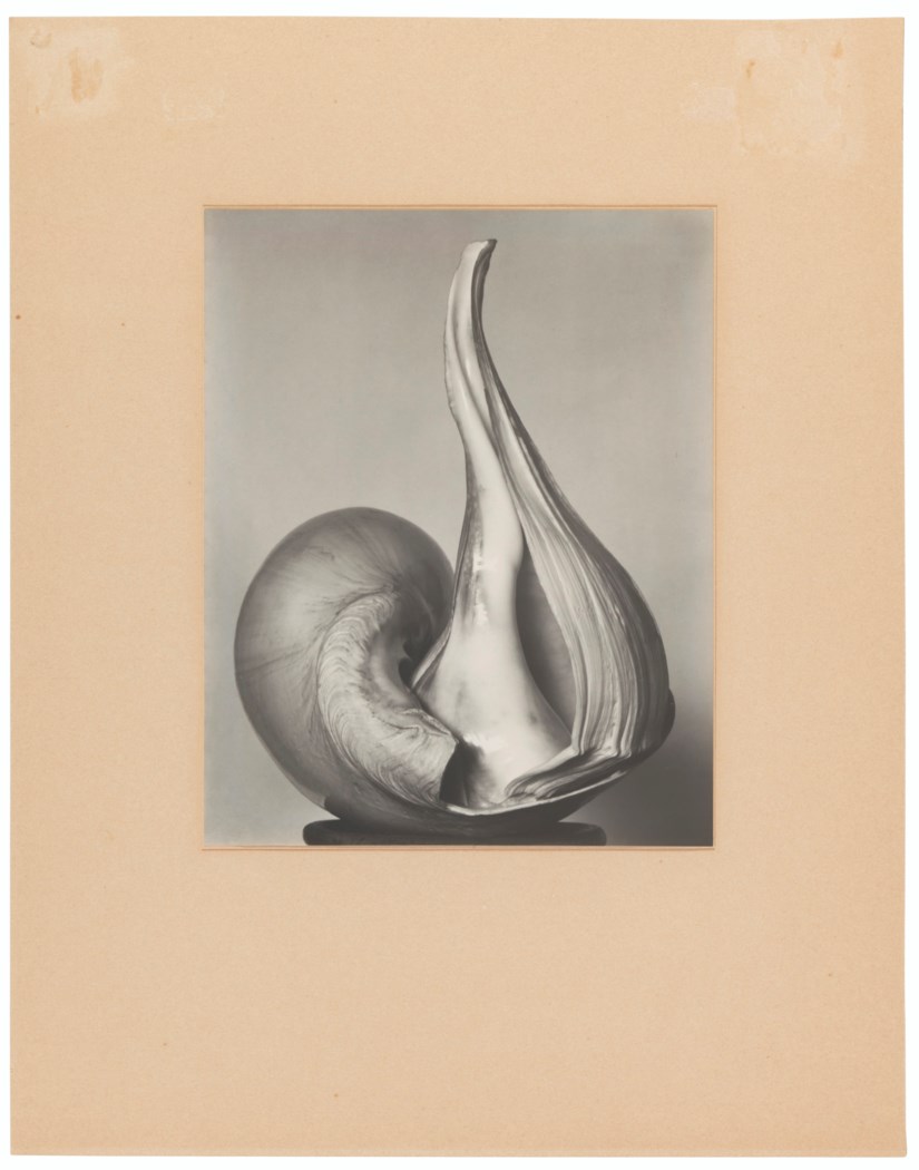 EDWARD WESTON (1886–1958)