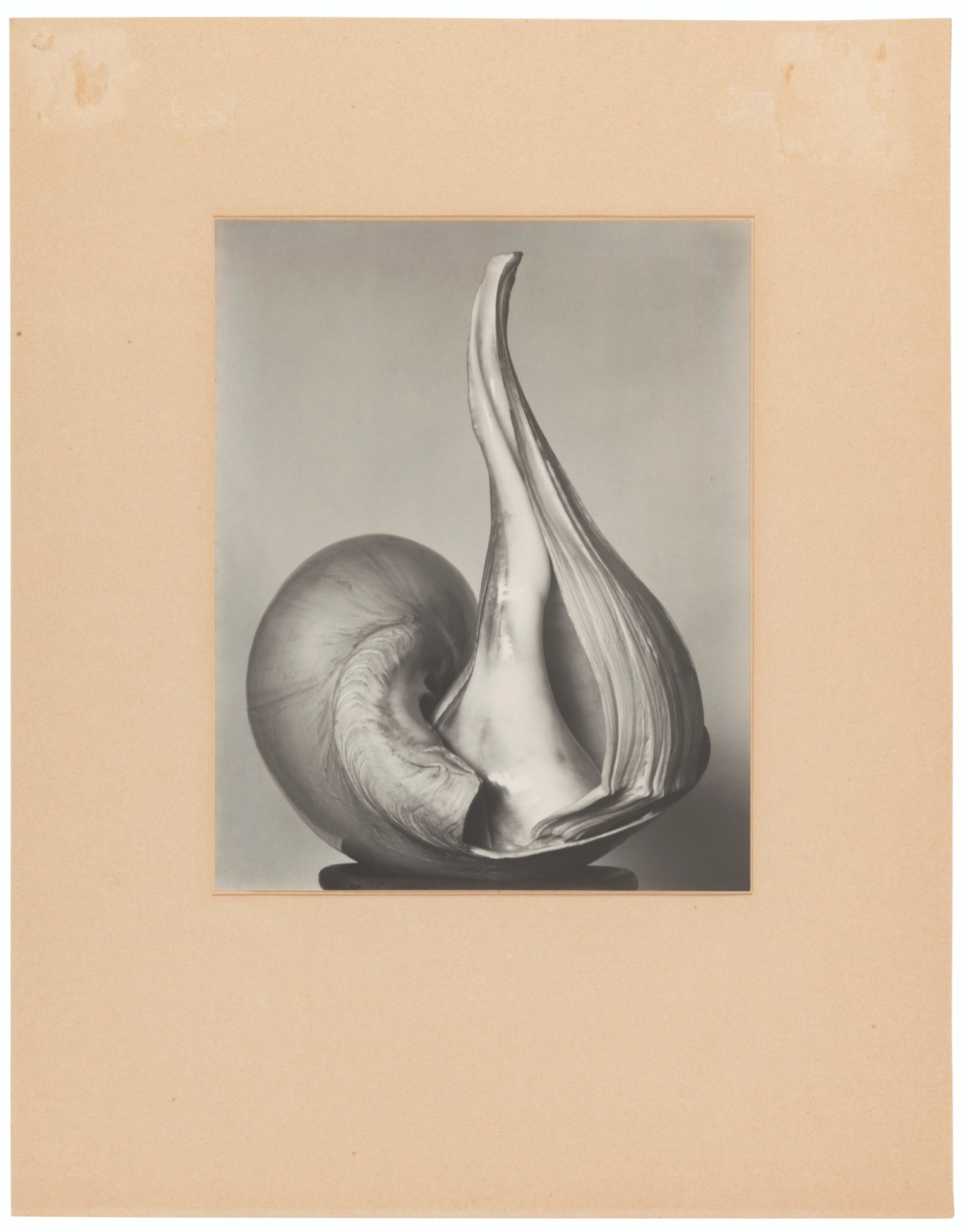 EDWARD WESTON (1886–1958)