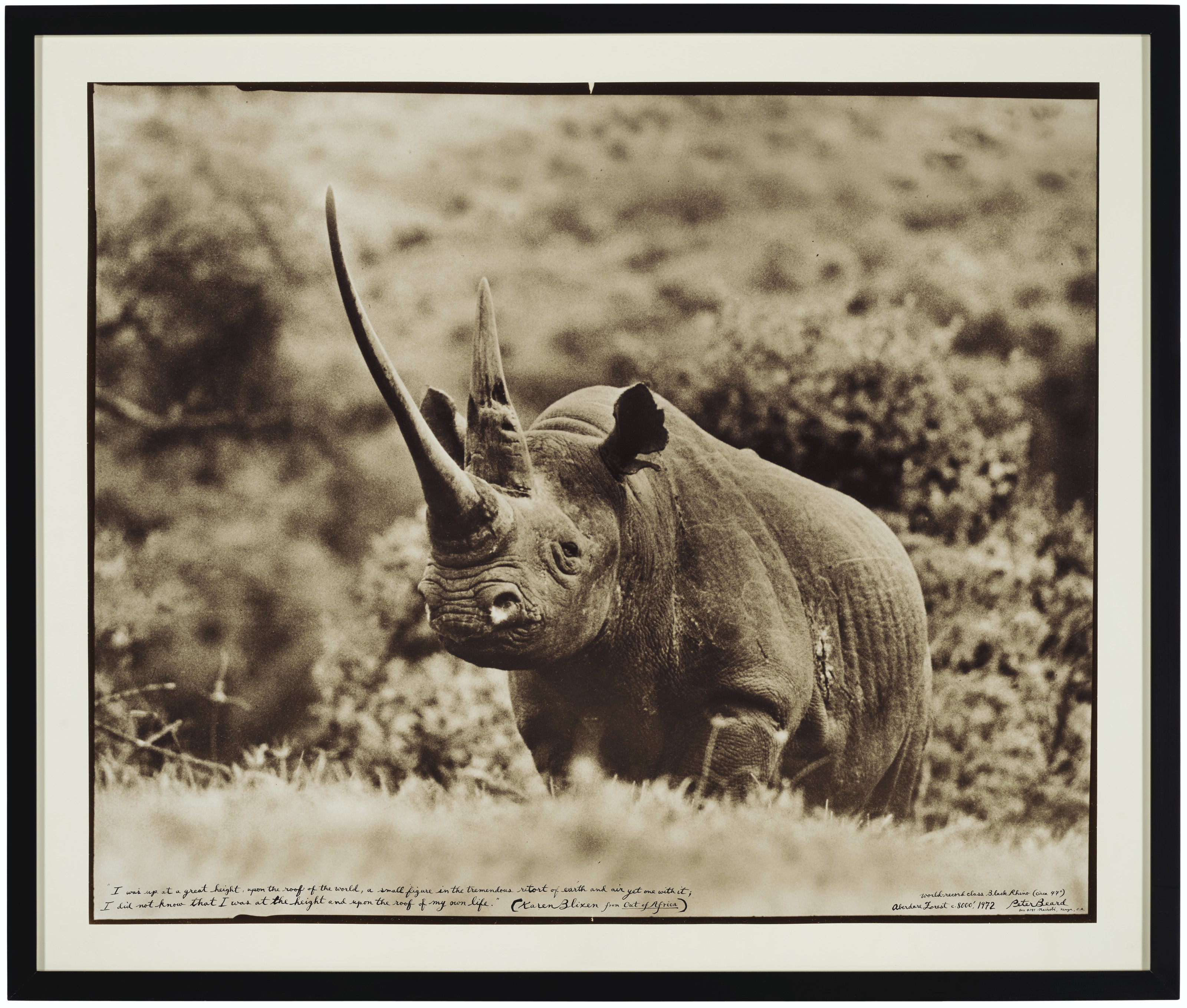 PETER BEARD (B. 1938)