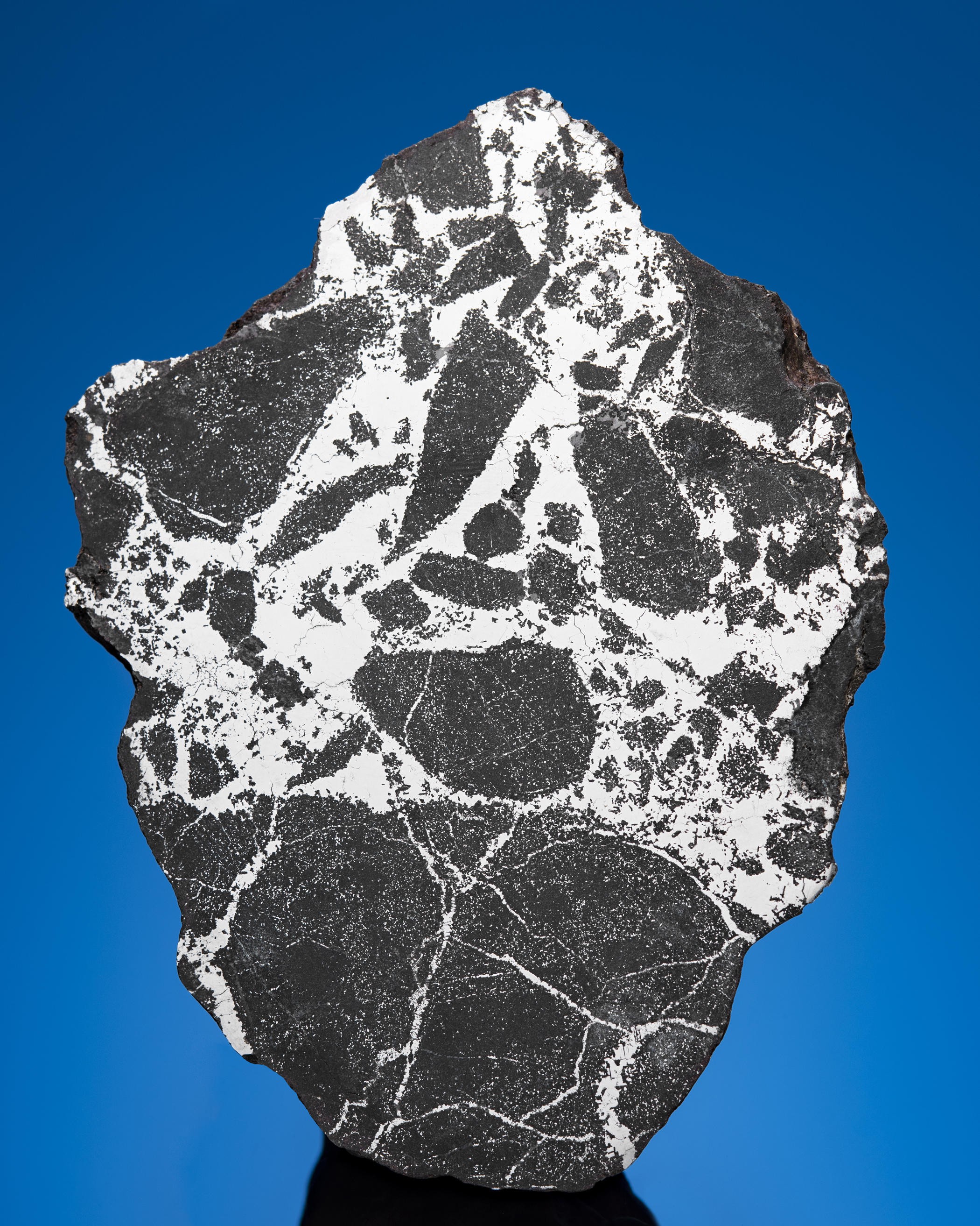 SILICATED CAMPO DEL CIELO METEORITE END PIECE, Iron, coarse octahedrite ...