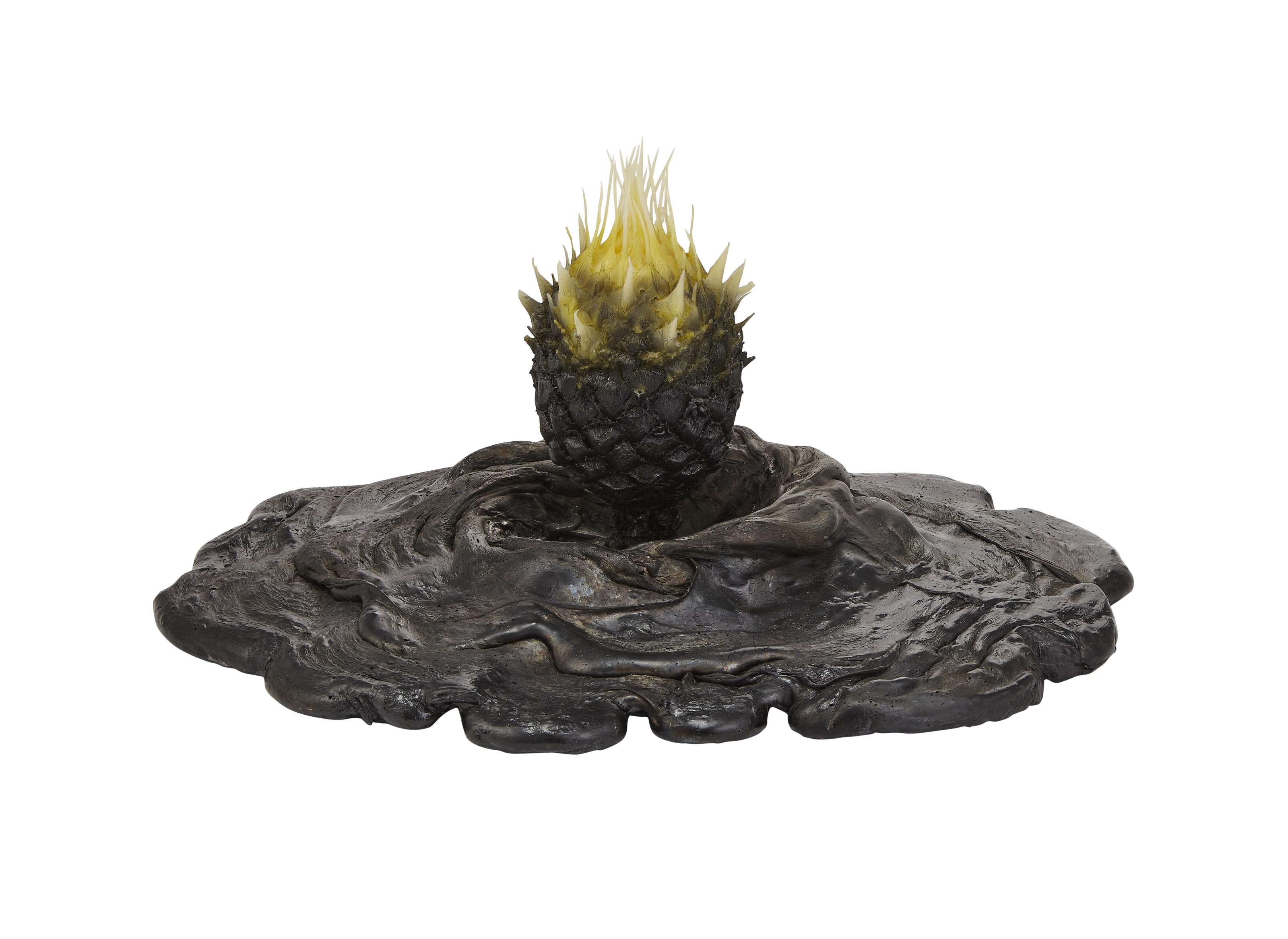 KEITH EDMIER (B. 1967), Cycas revoluta bulbil | Christie’s