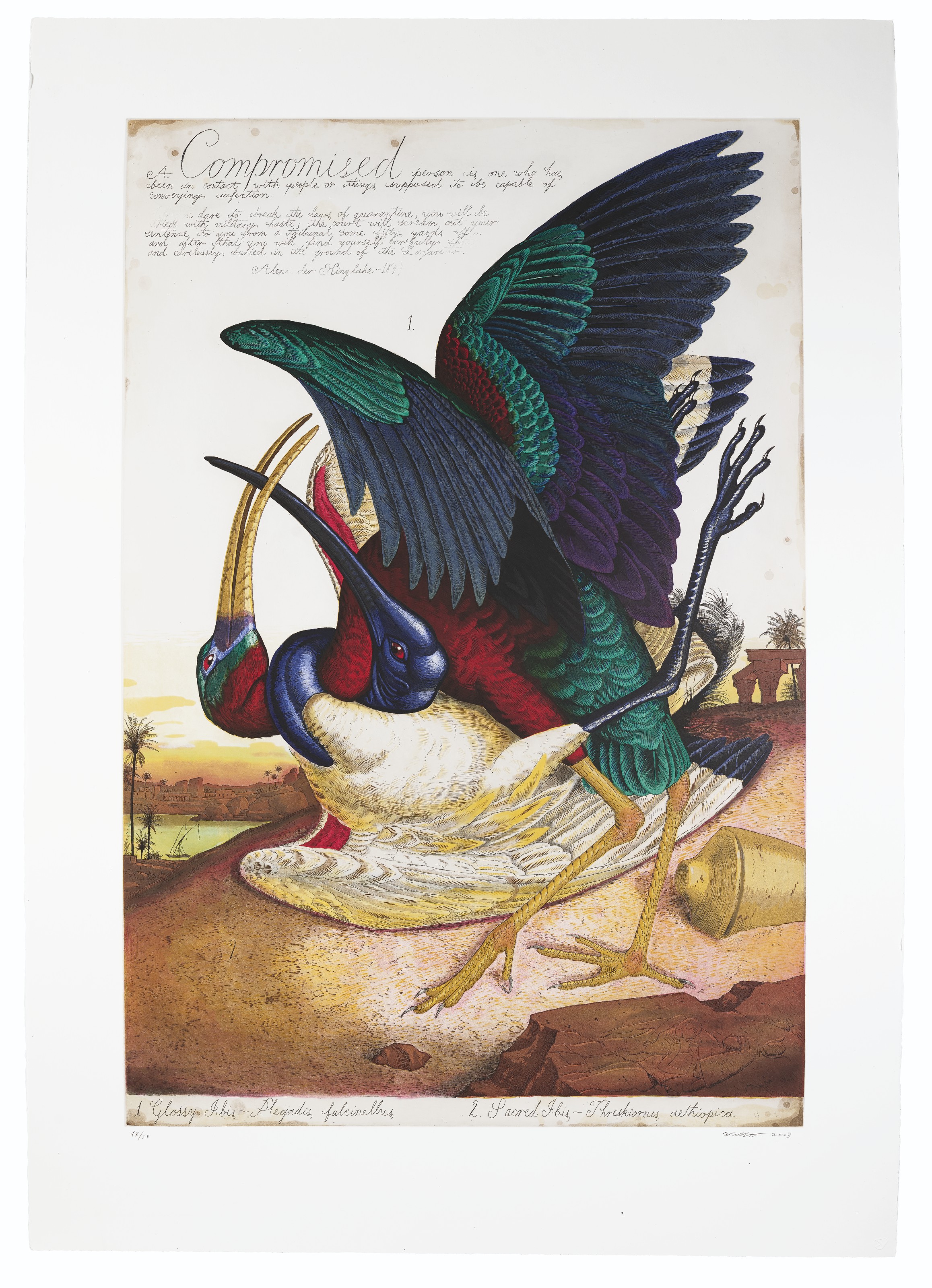 Walton Ford (b. 1960)