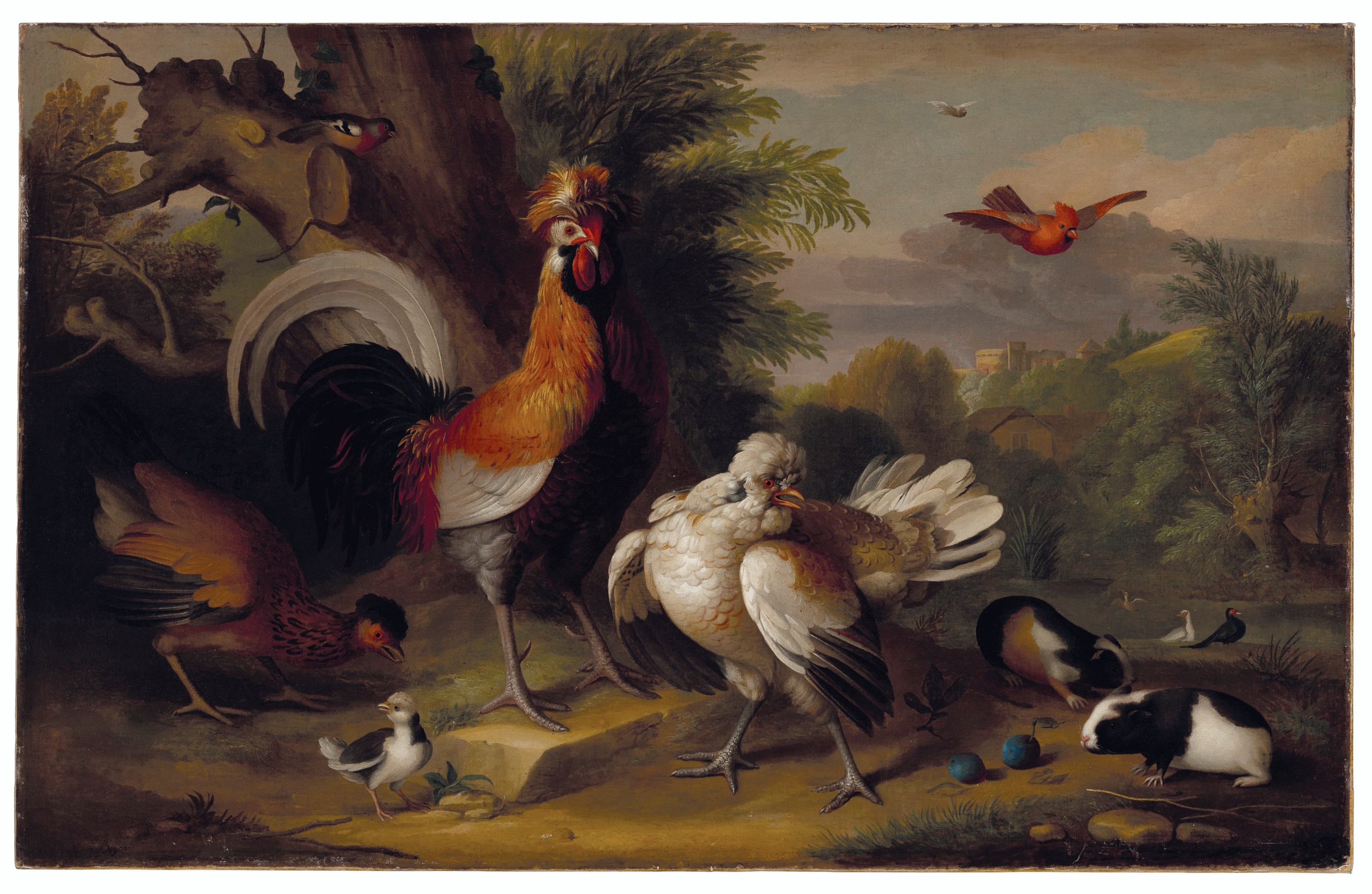 Jakob Bogdány (Eperjes c. 1660-1724 London), Domestic fowl with guinea ...