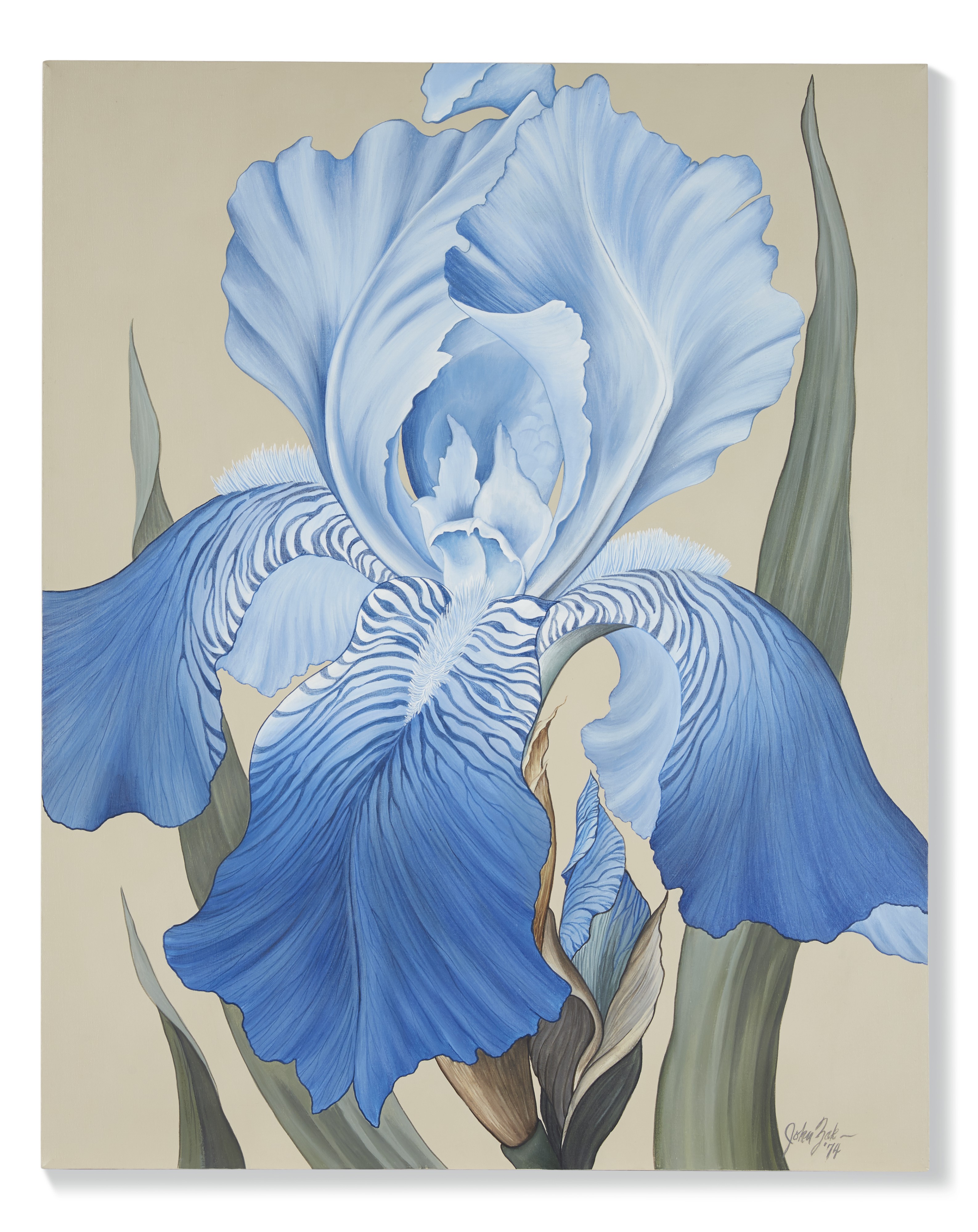 John Zak (20th Century)