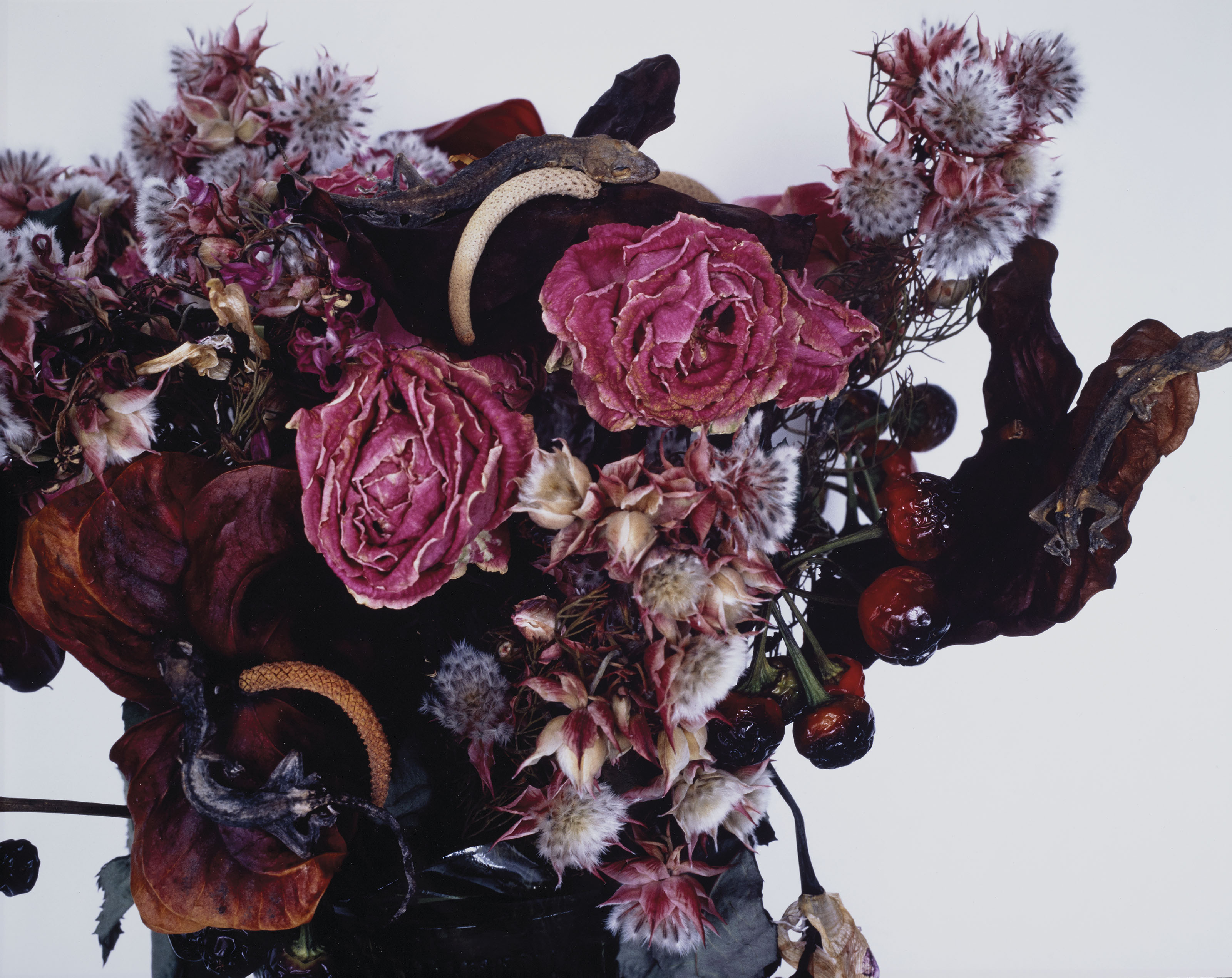 NOBUYOSHI ARAKI (NÉ EN 1940)