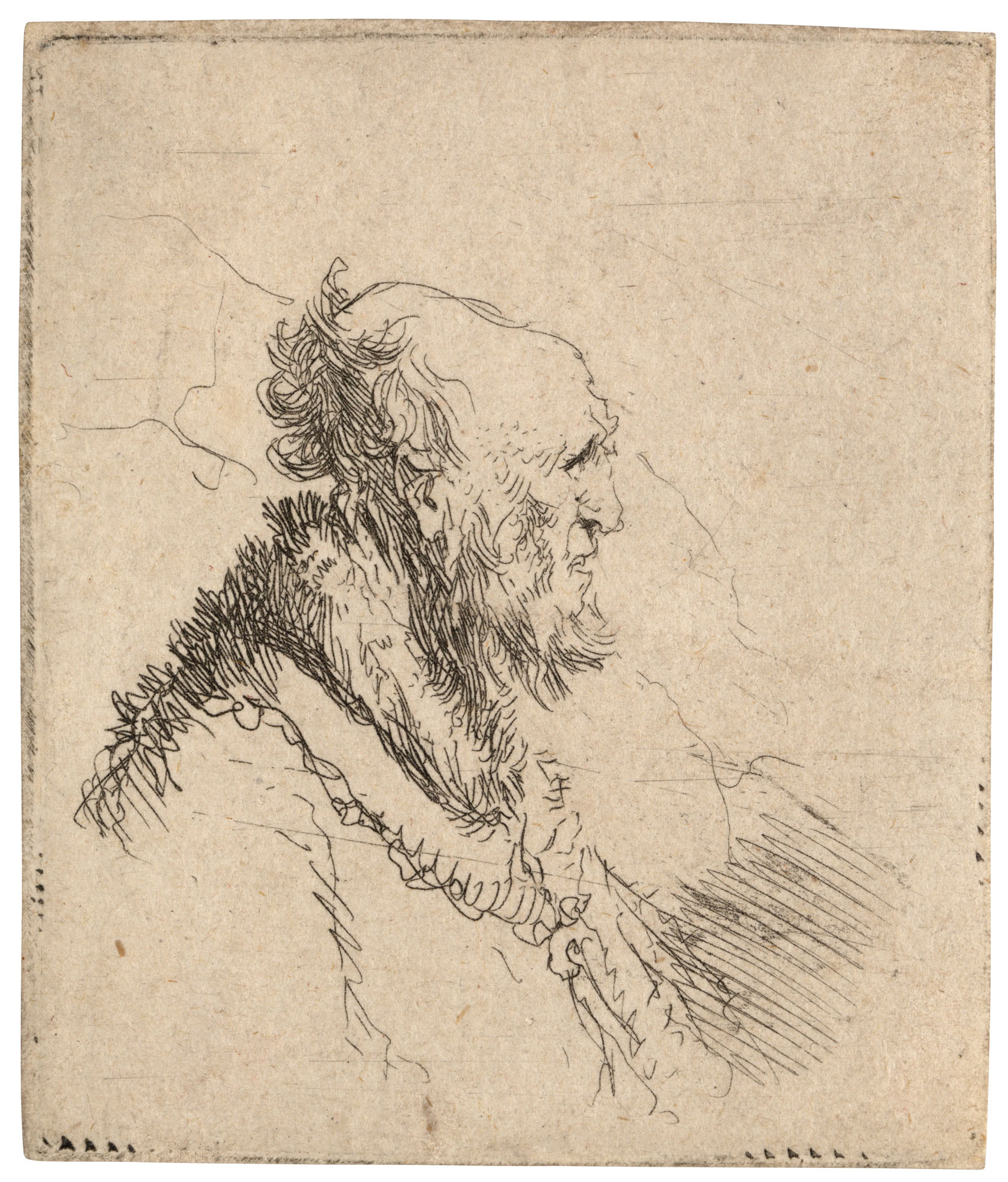 REMBRANDT HARMENSZ. VAN RIJN (1606-1669), Bald old Man with a short ...