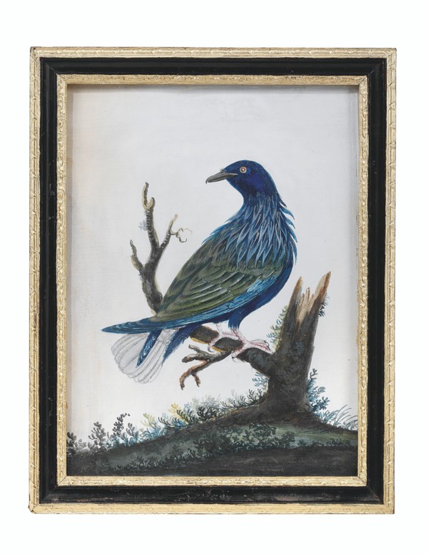 FOUR PAIRS OF GEORGE III EMBOSSED BIRD PICTURES, SIX BY ISAAC SPACKMAN ...