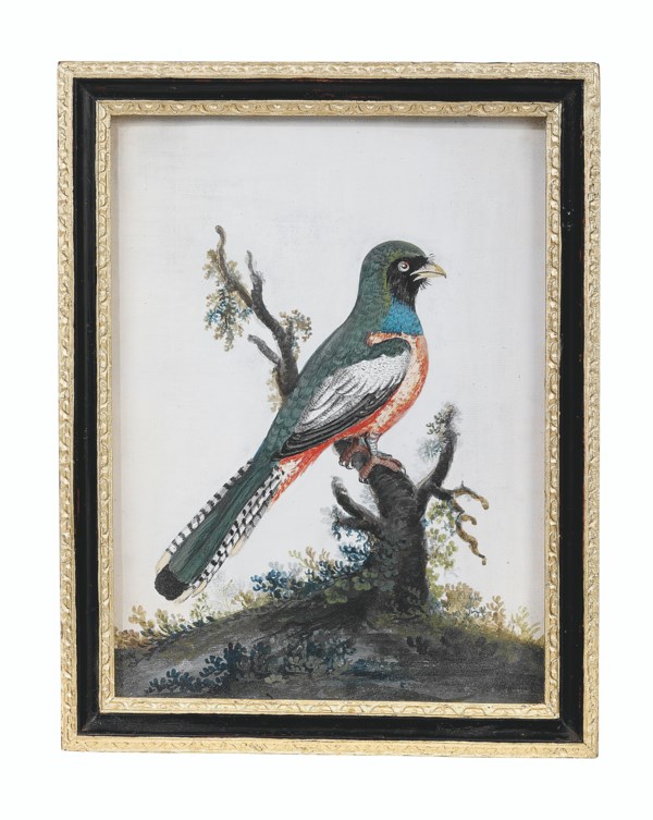 FOUR PAIRS OF GEORGE III EMBOSSED BIRD PICTURES, SIX BY ISAAC SPACKMAN ...