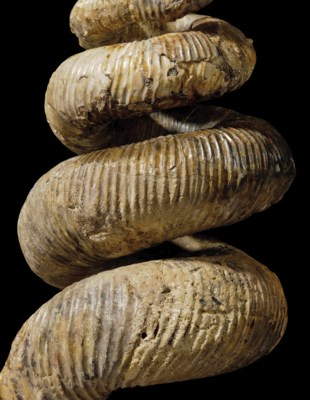 A RARE HETEROMORPH AMMONITE, SOUTH DAKOTA, USA | Christie’s