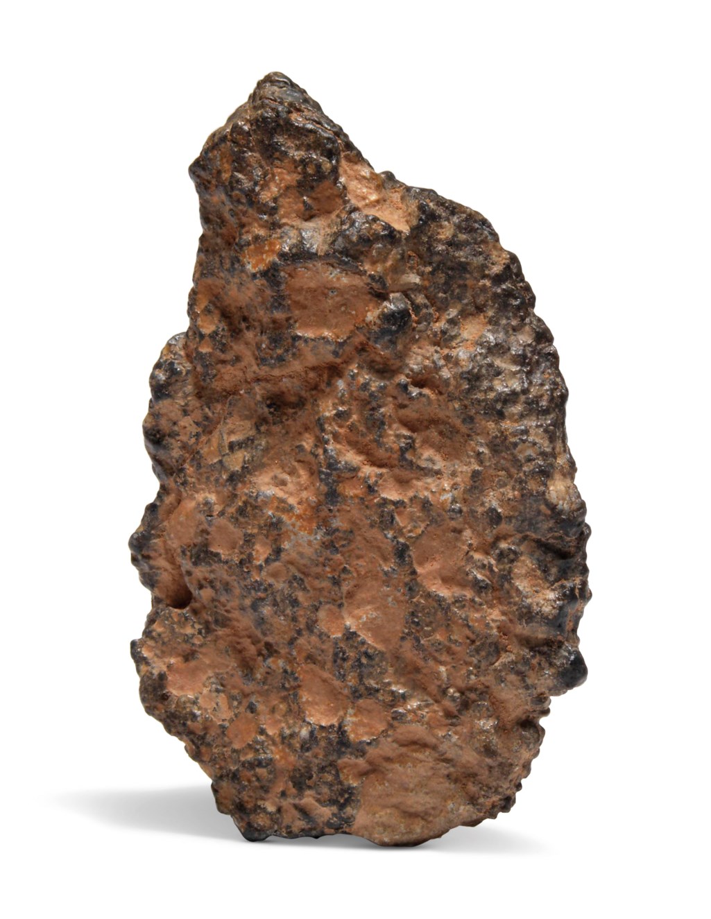 NWA 11407— COMPLETE LUNAR SPECIMEN WITH LARGE ANORTHITE CLAST, Moon ...