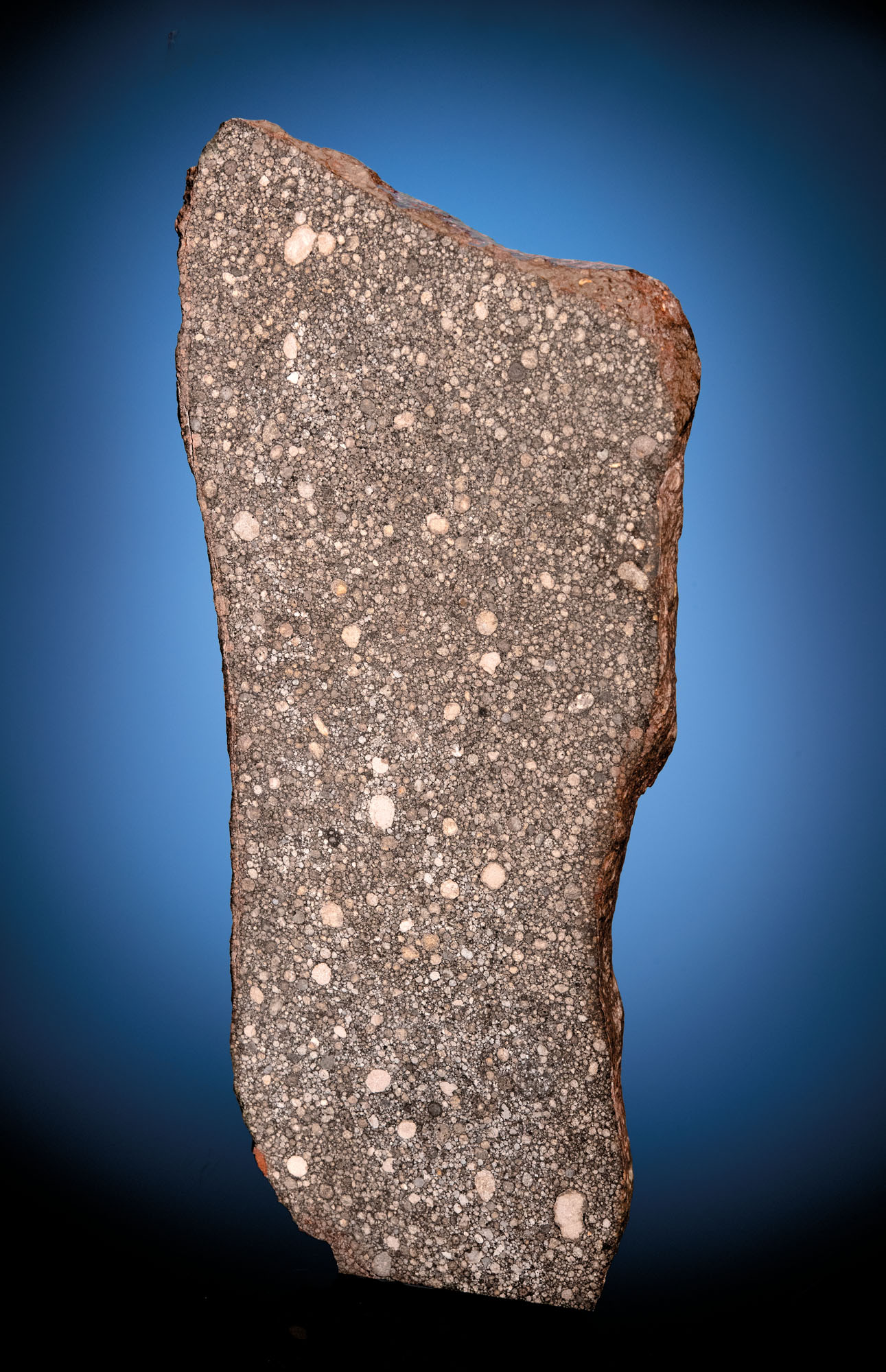 LOS VIENTOS 171 — WEDGE END PIECE OF A SCIENTIFICALLY IMPORTANT ...