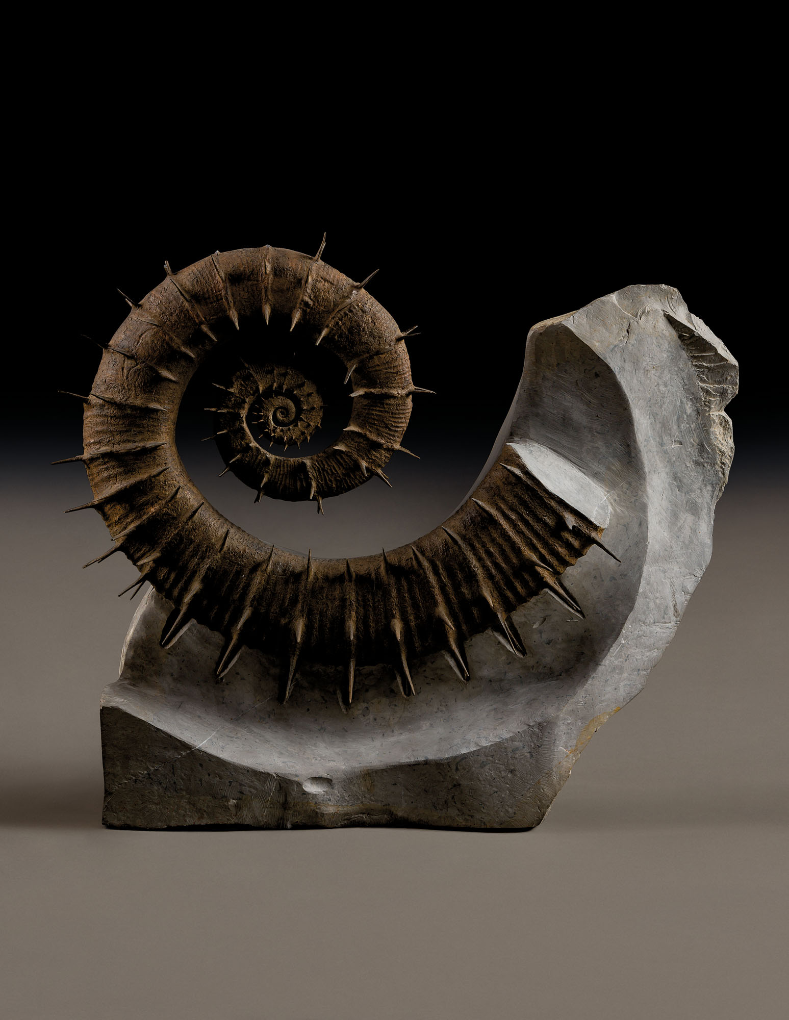 A FINE UNCOILED SPINY AMMONITE, FRANCE | Christie’s
