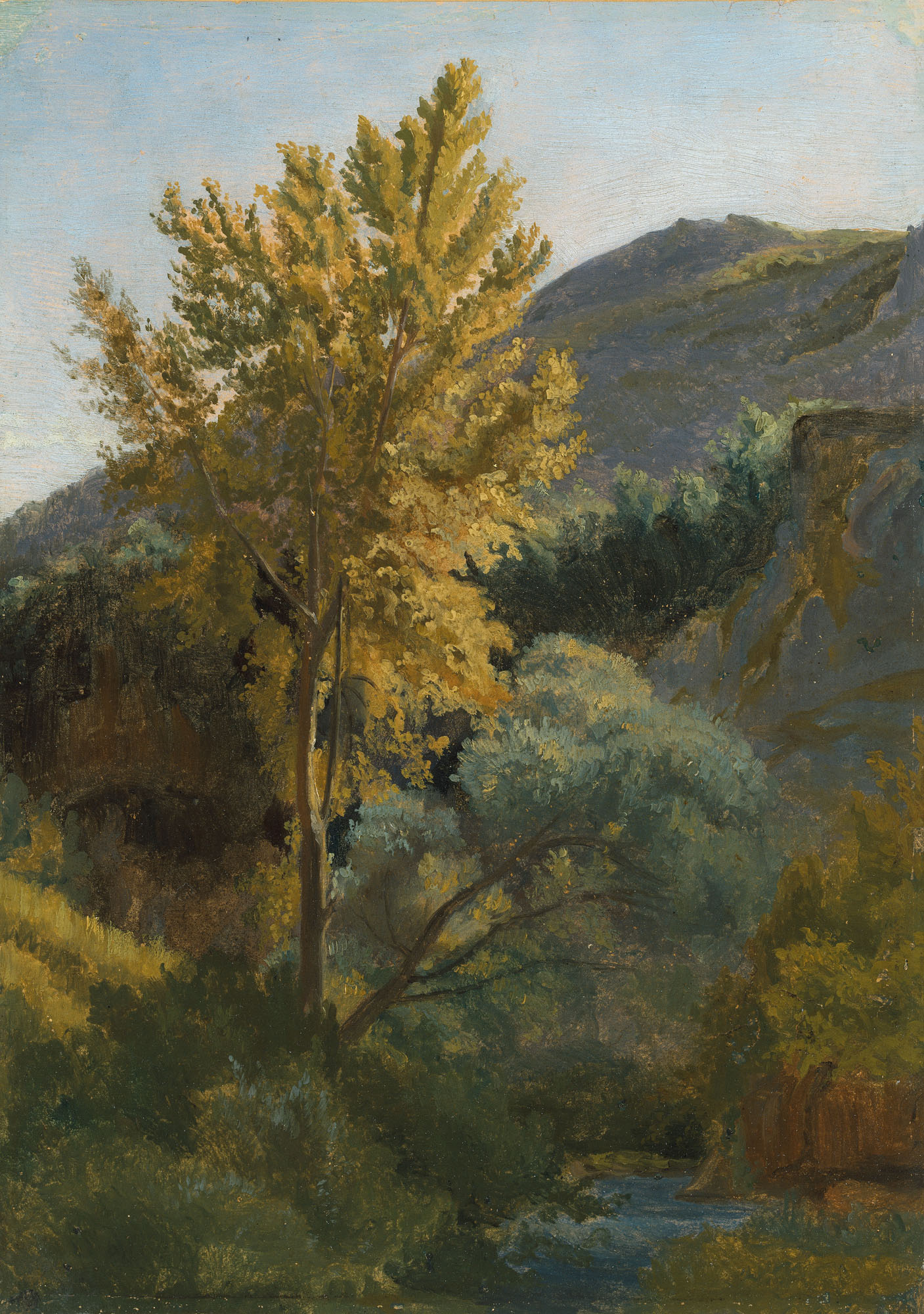 JEAN-BAPTISTE-CAMILLE COROT (FRENCH, 1796-1875), Etude d'arbre près d ...