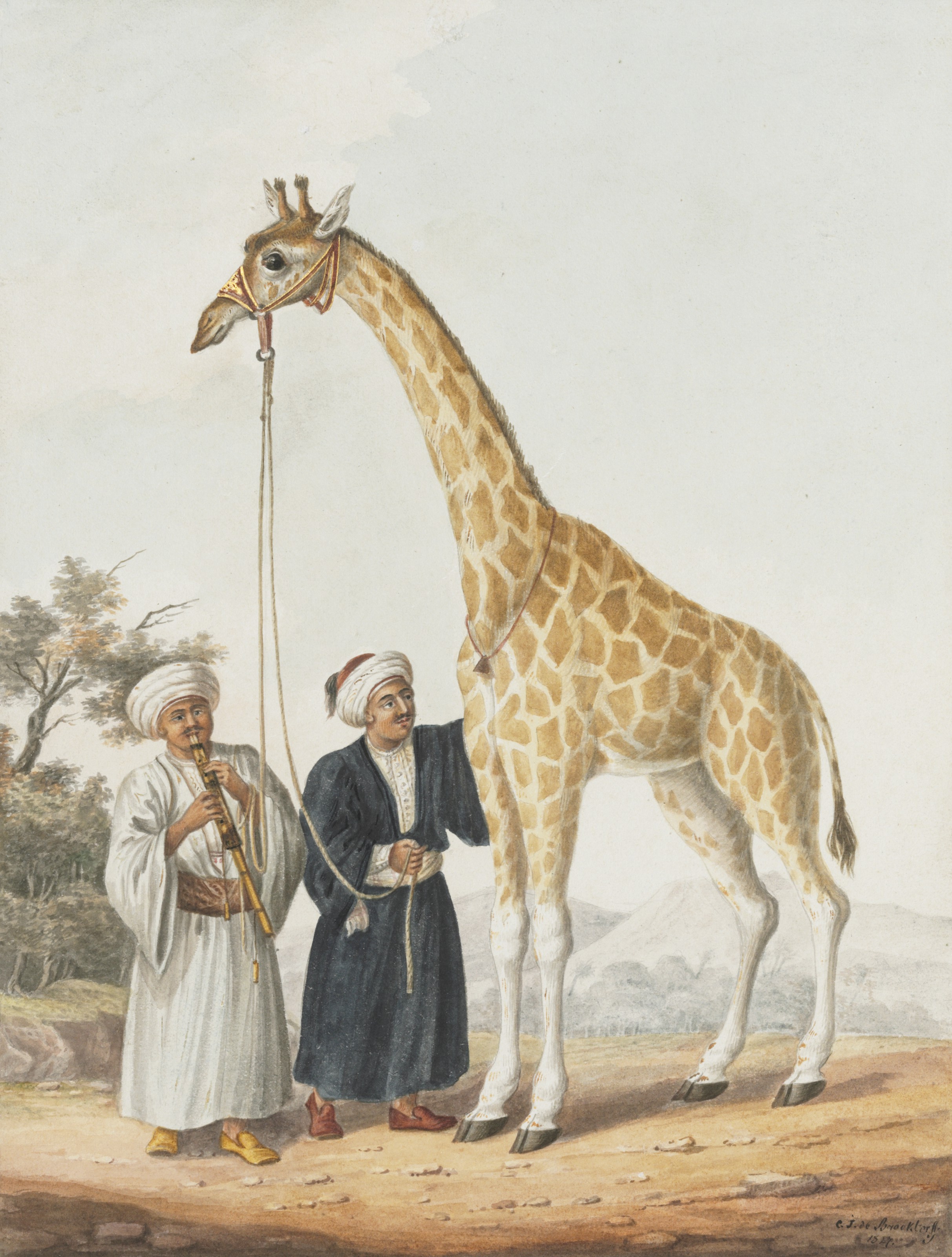 Charles Frederick de Brocktorff (1775–1850), Camelopard - a present ...