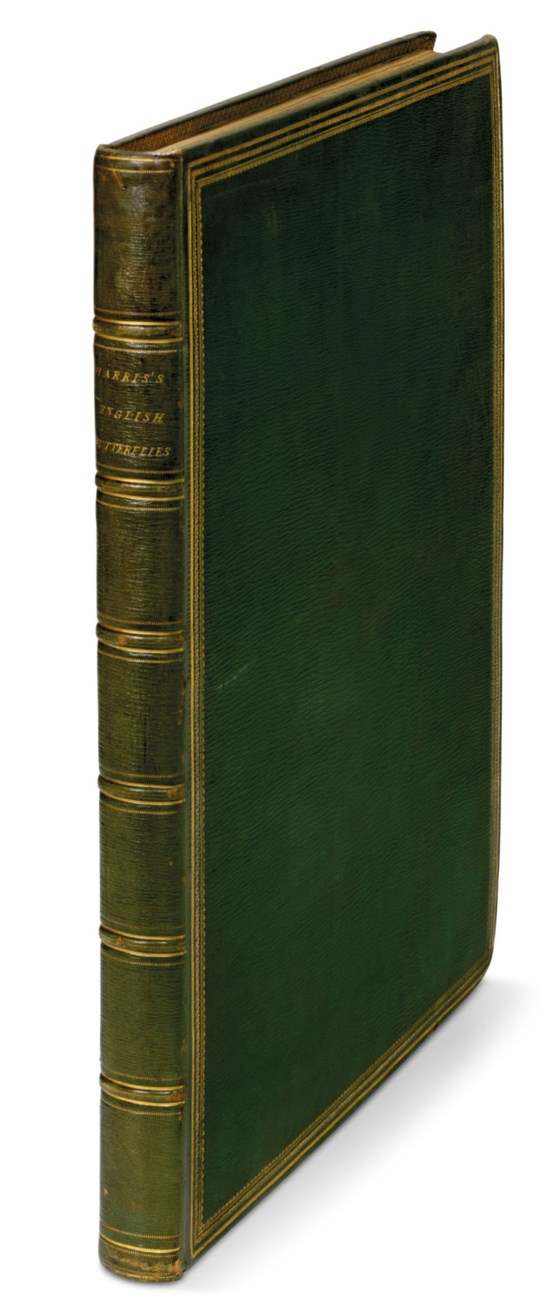 Moses Harris (1730-1787/89), L'Aurelien. 1794 | Christie's