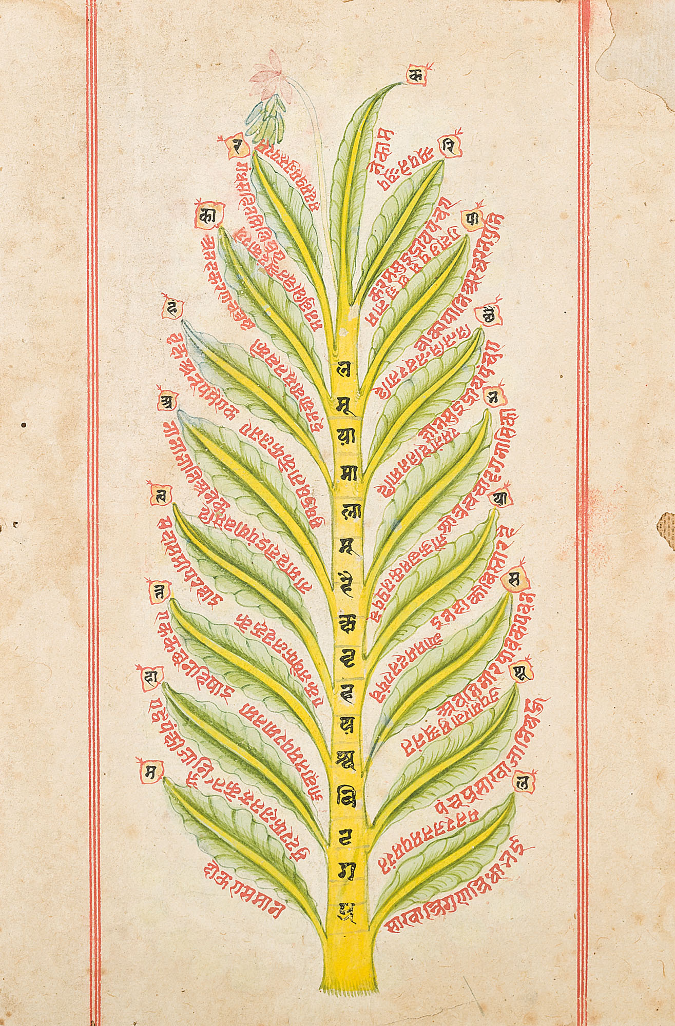 A DOUBLE-SIDED ILLUSTRATION OF TREES, NORTH INDIA, MID-19TH CENTURY ...