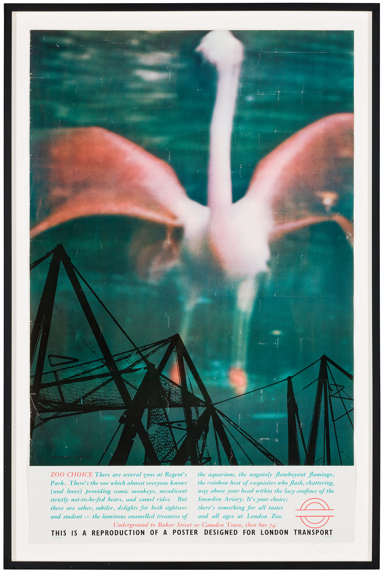 Michael Reid (British, 20th century), London Zoo Poster for Transport ...