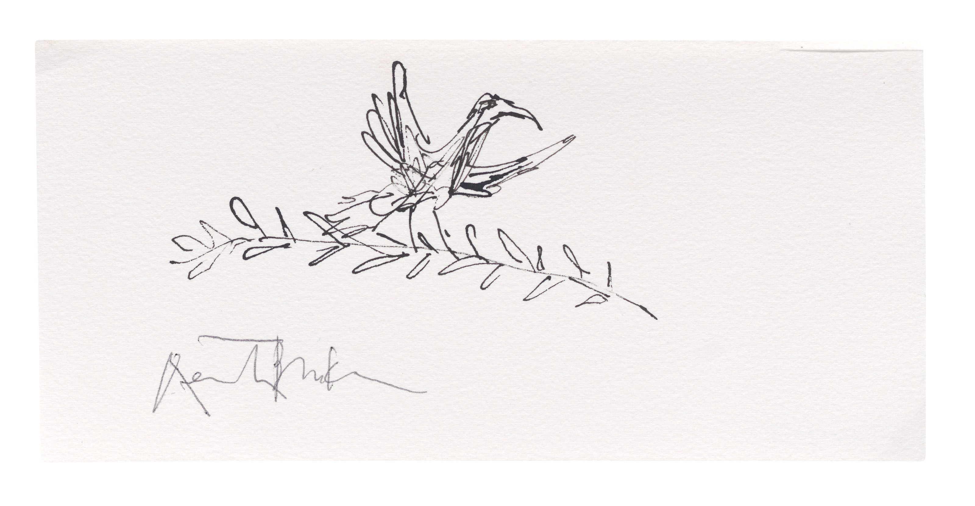 Quentin Blake (b. 1932), Bird on a branch | Christie’s