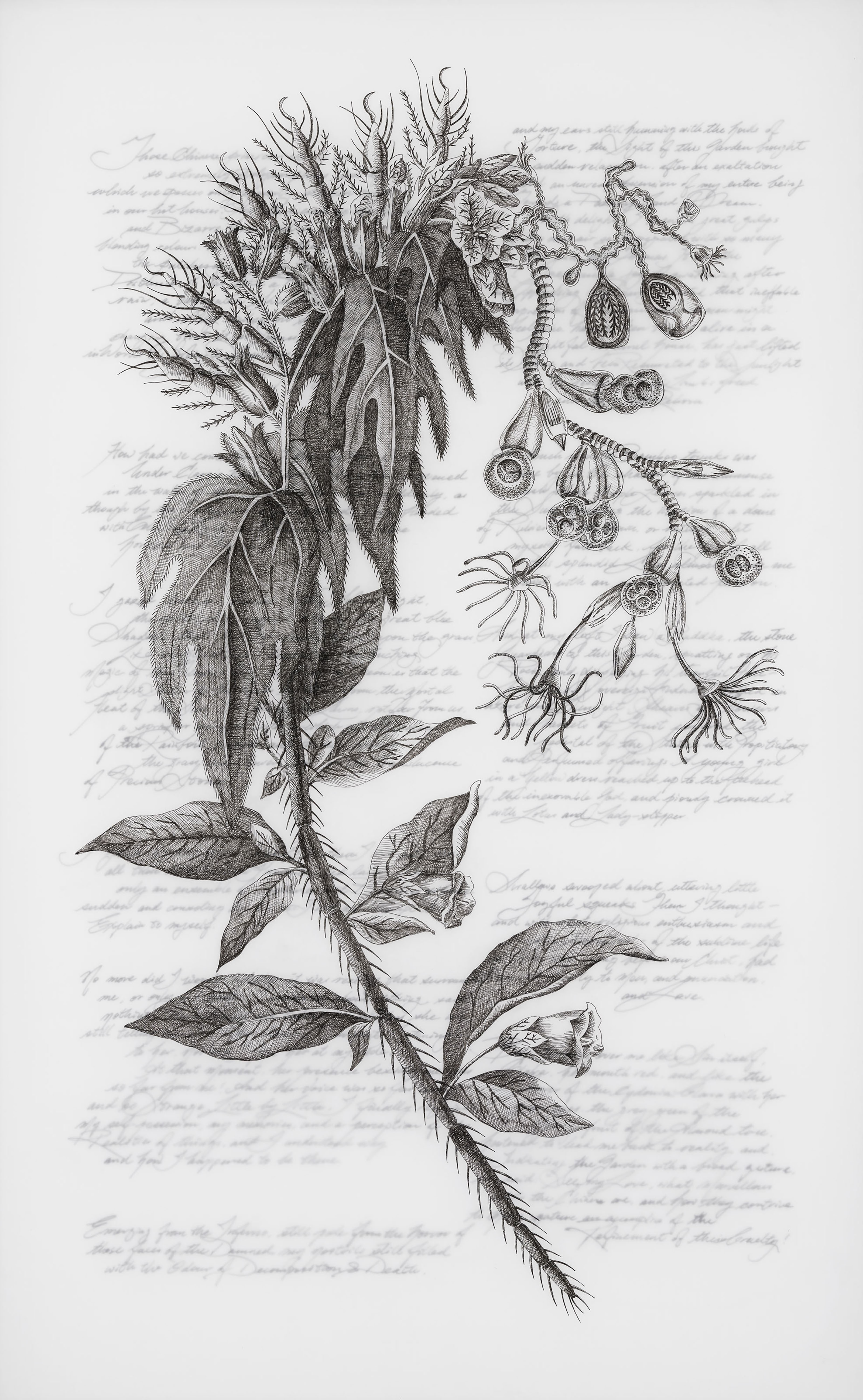 ANGELA SU (B. 1969), Spondia Pinnata | Christie’s