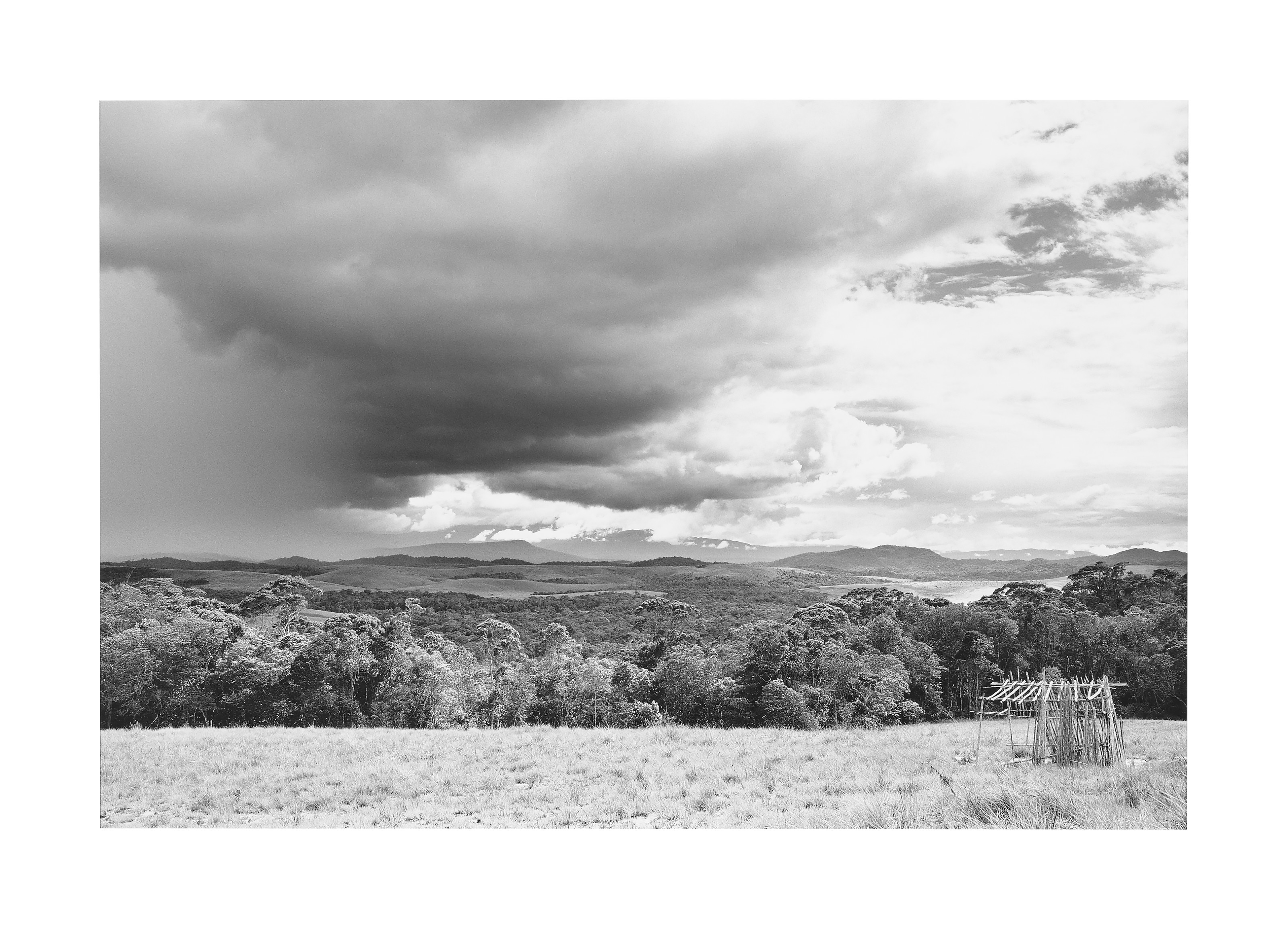 Lothar Baumgarten (b. 1944), Montaigne 1/3, 1977/1985 | Christie’s