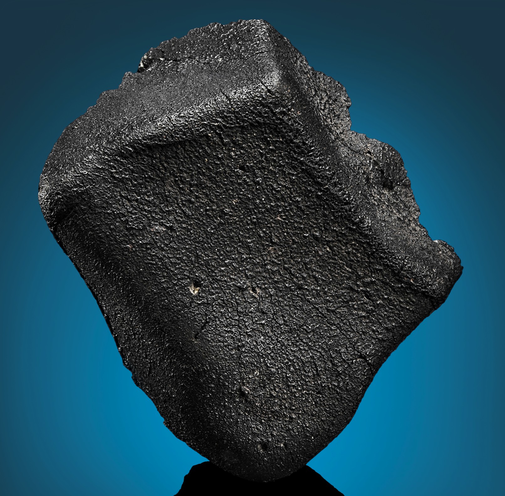 allende meteorite slice