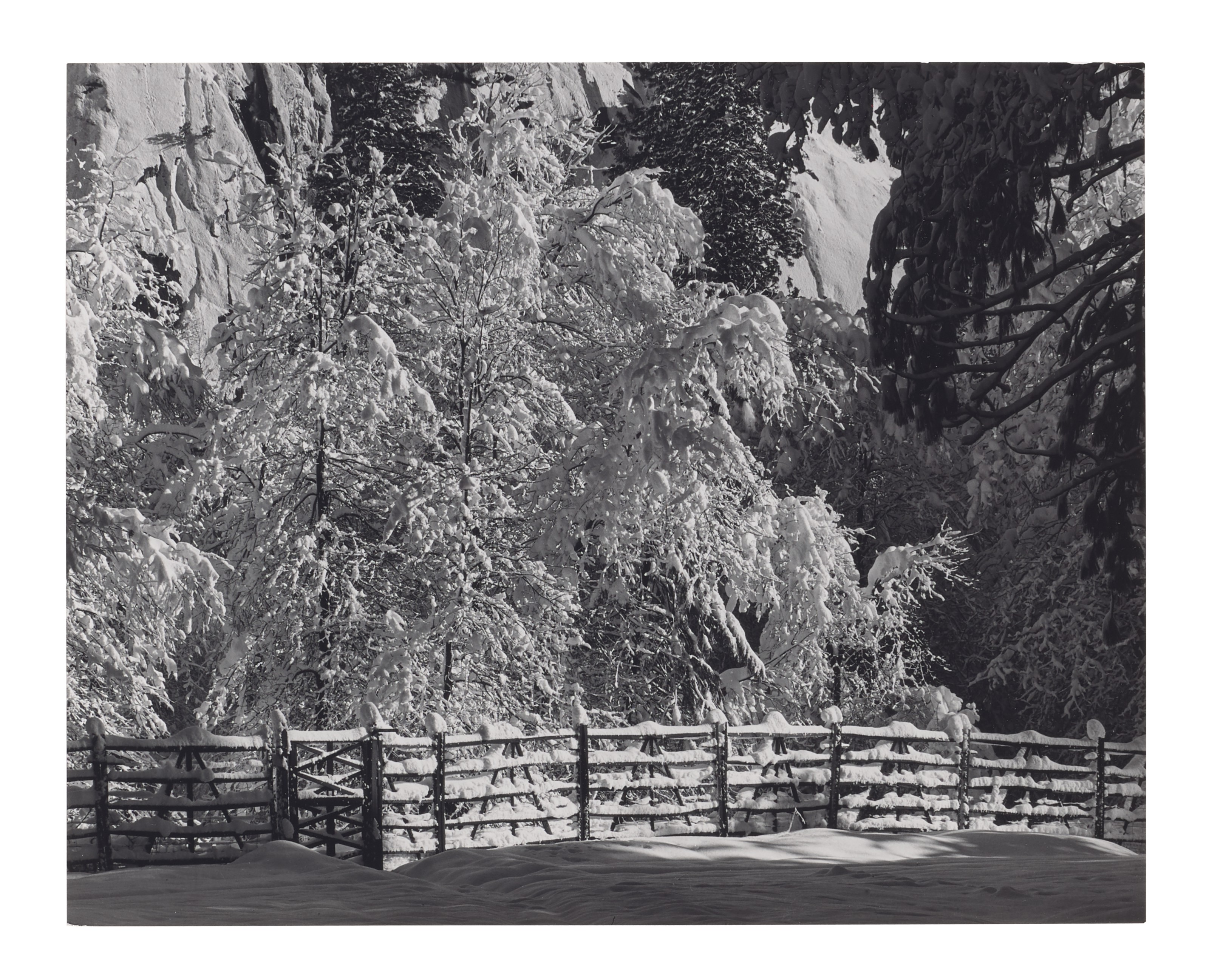 ANSEL ADAMS (1902–1984), Trees and Fence, Winter, Yosemite National ...